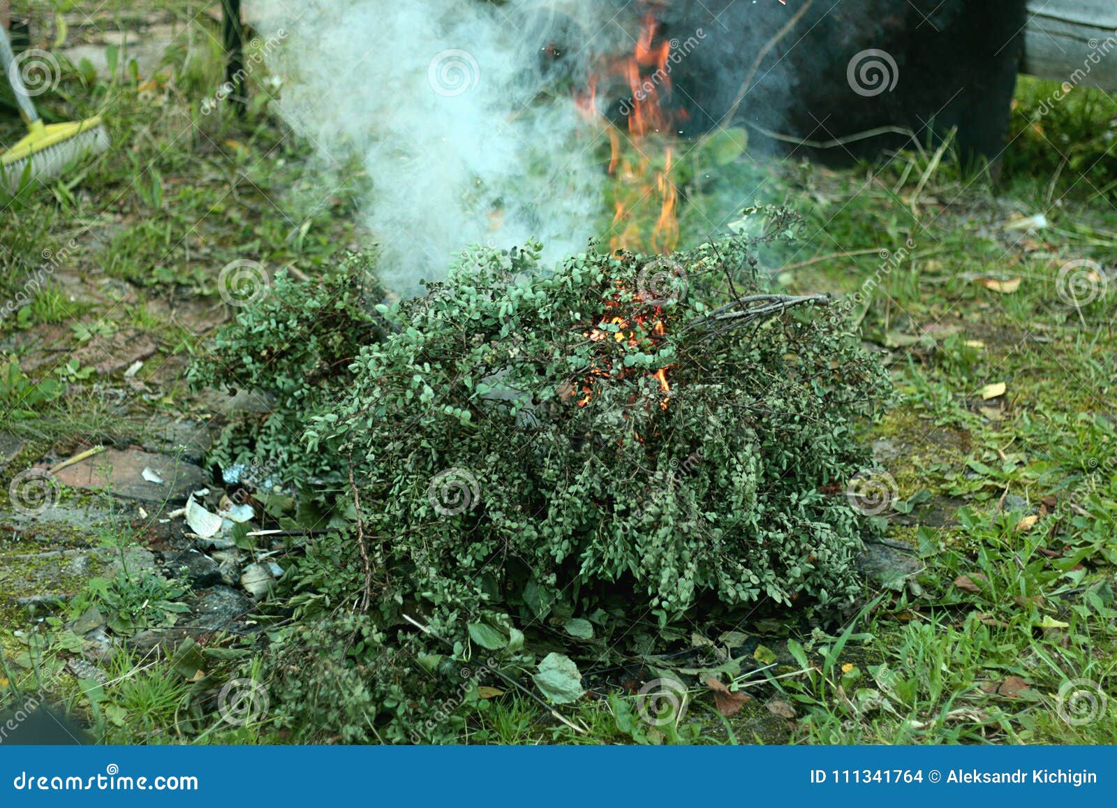 Flames of Fire Burning Bush Stock Photo - Image of camp, campfire ...