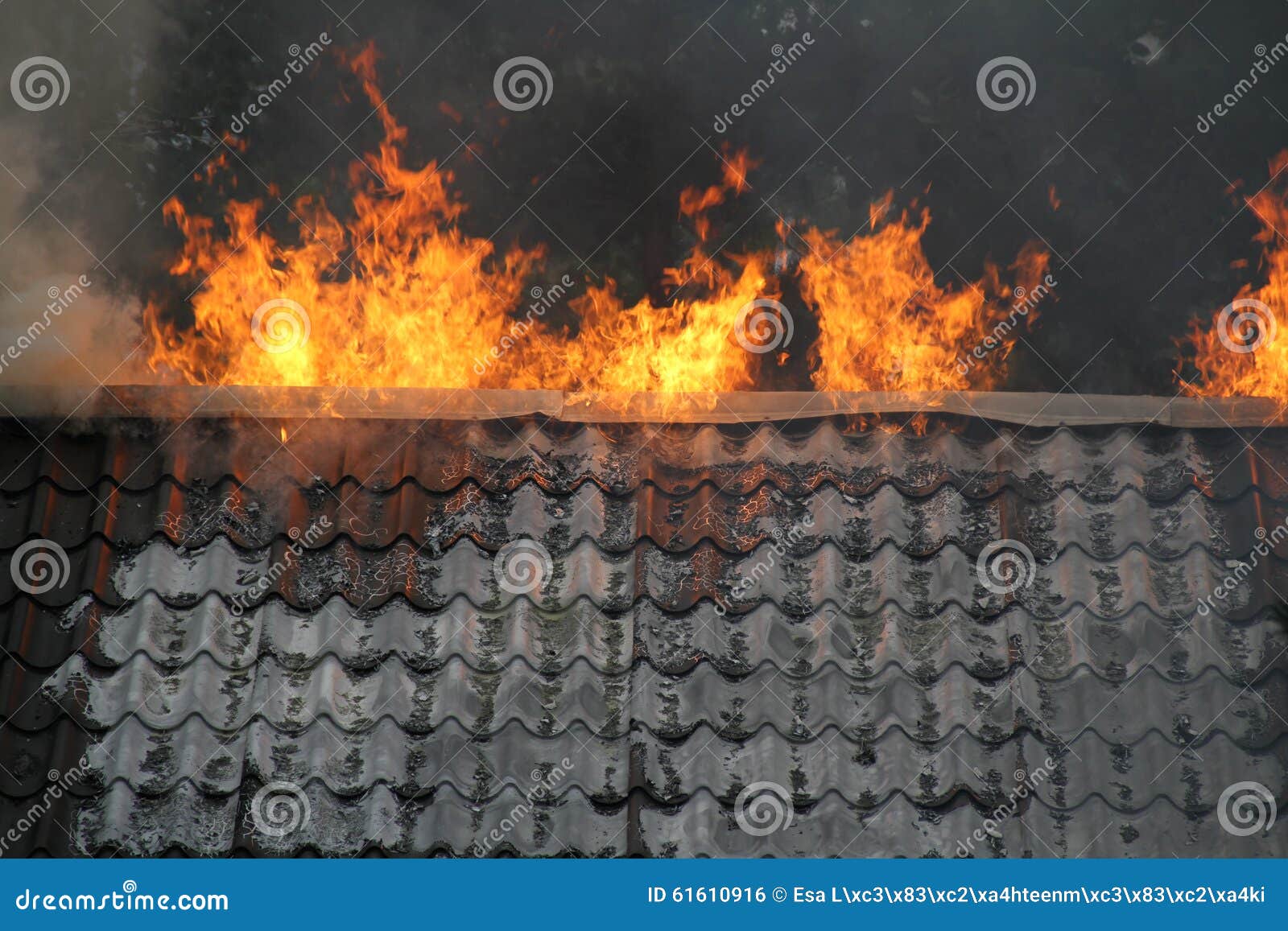 Flames stock photo. Image of fire, moment, fotoespe, structures - 61610916