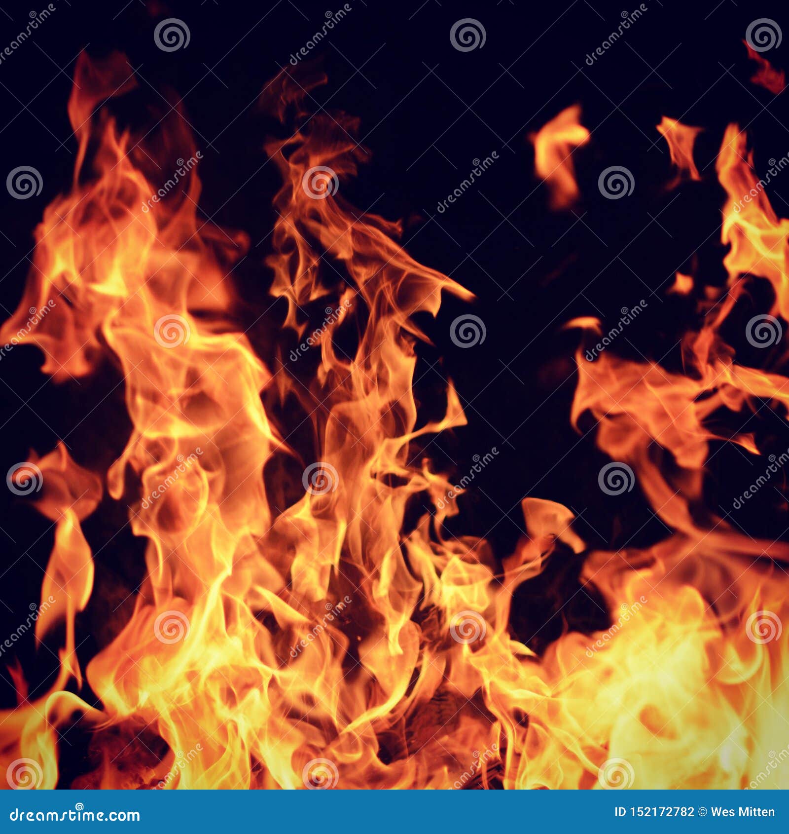 Flames stock photo. Image of heat, flames, fire, flare - 152172782