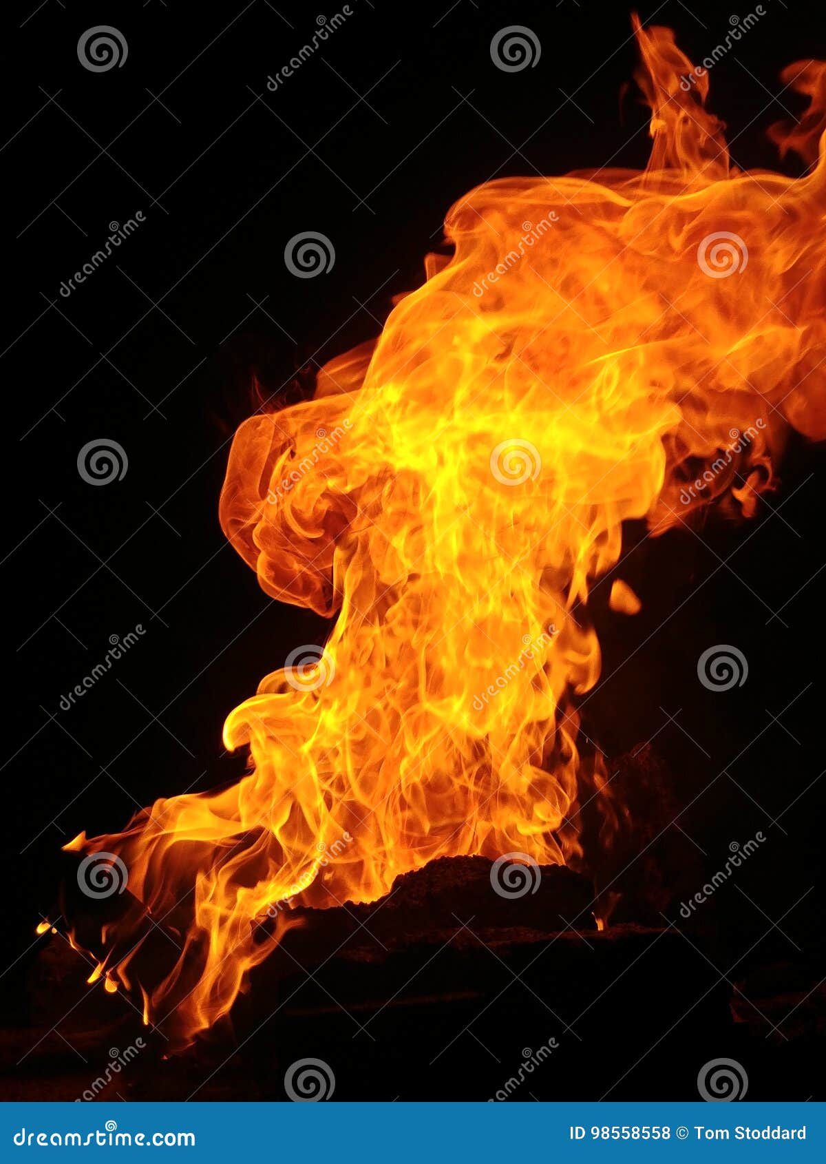 Flames of fury stock photo. Image of flames, fire, blaze - 98558558