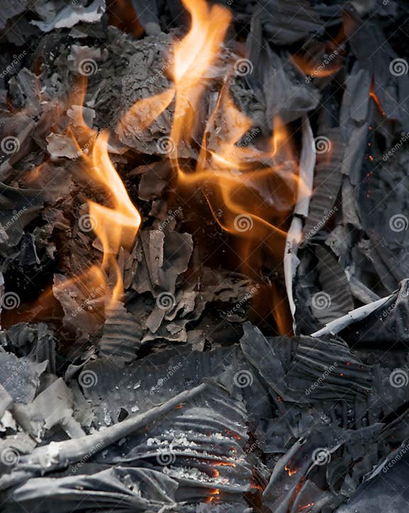 Flames in grey ashes stock photo. Image of fire, abstract - 10845848
