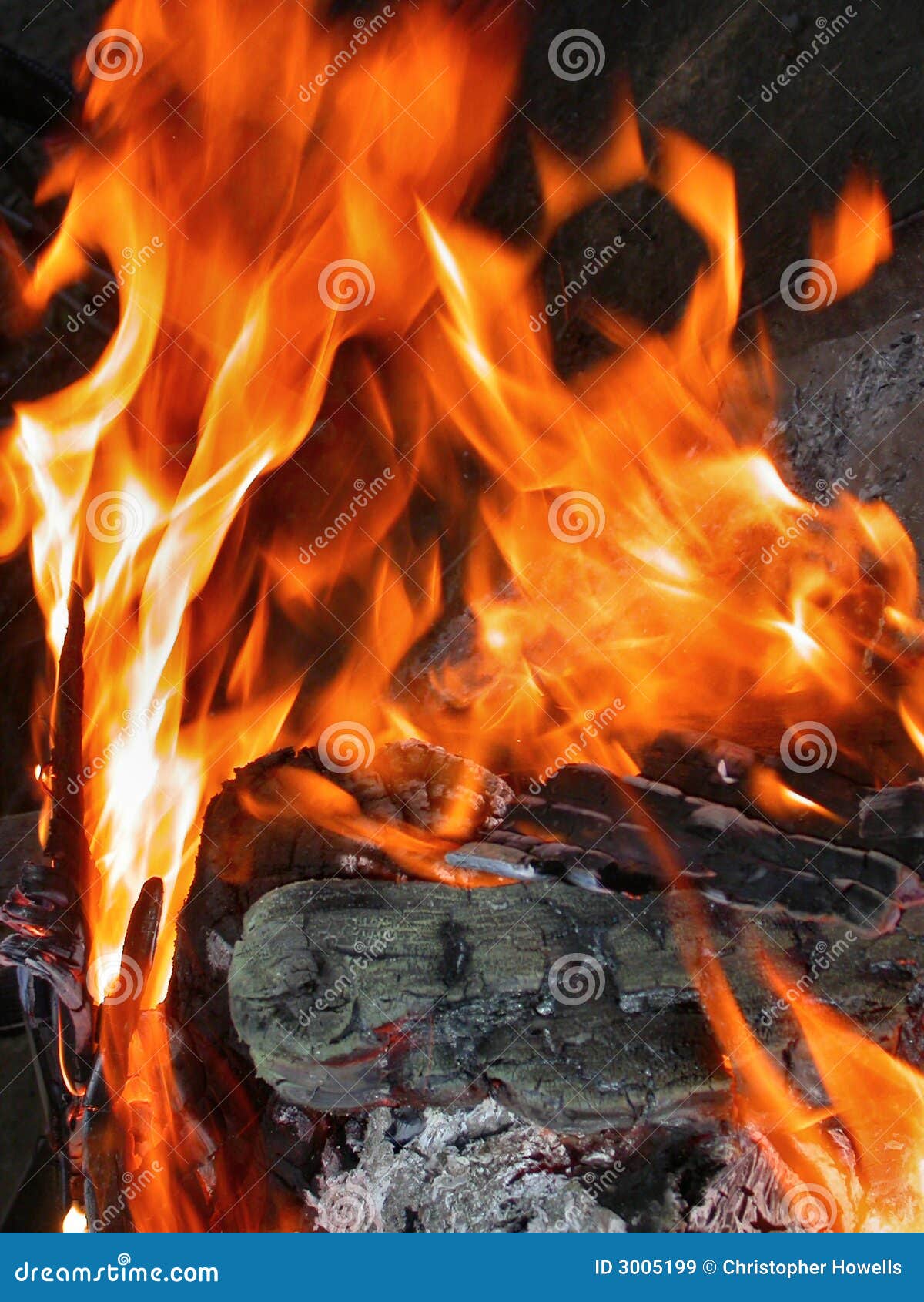 Flames leap from campfire stock image. Image of campfire - 3005199