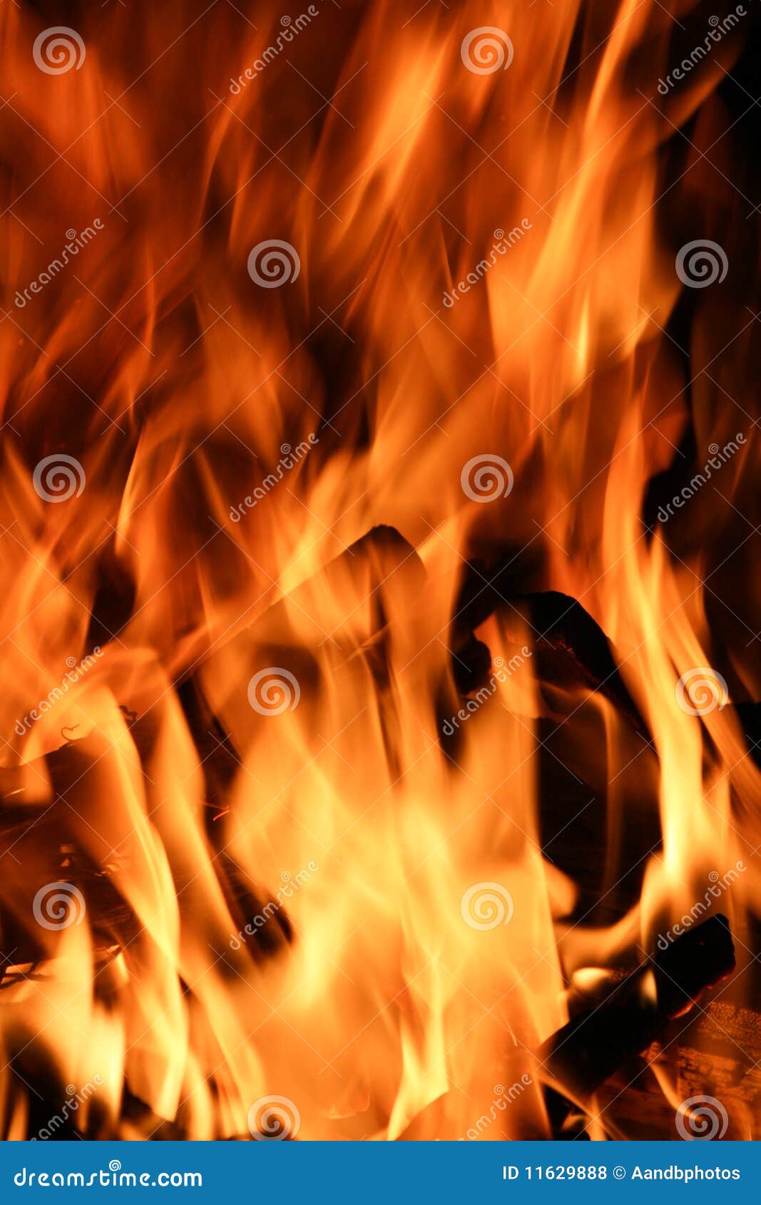 Flames in Motion stock photo. Image of bonfire, abstract - 11629888