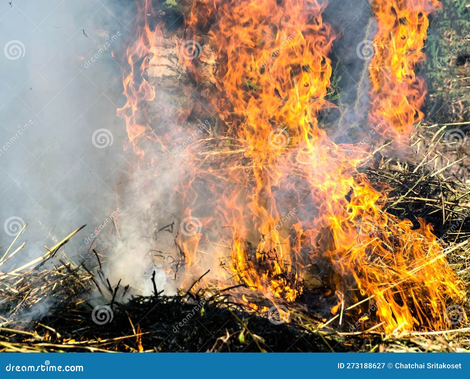 The Flames and Smoke from Burning Hay Pollute the Environment Stock ...