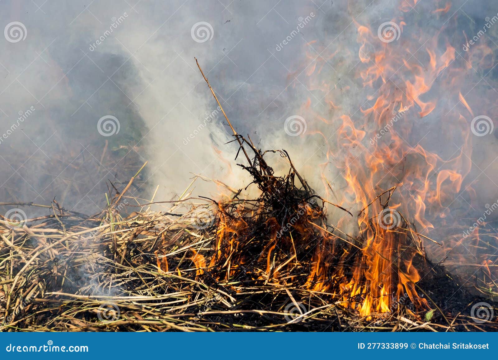 The Flames and Smoke from Burning Hay Pollute the Environment Stock ...