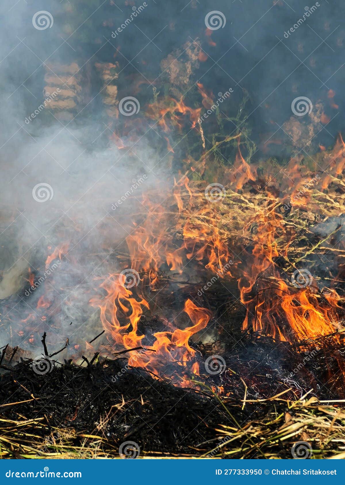 The Flames and Smoke from Burning Hay Pollute the Environment Stock ...
