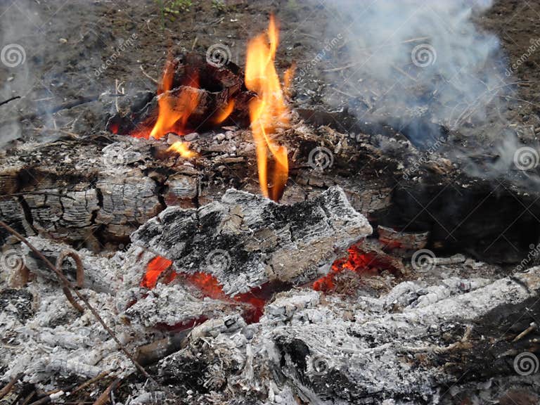 Dying fire, fire, ashes stock photo. Image of fighting - 217841106