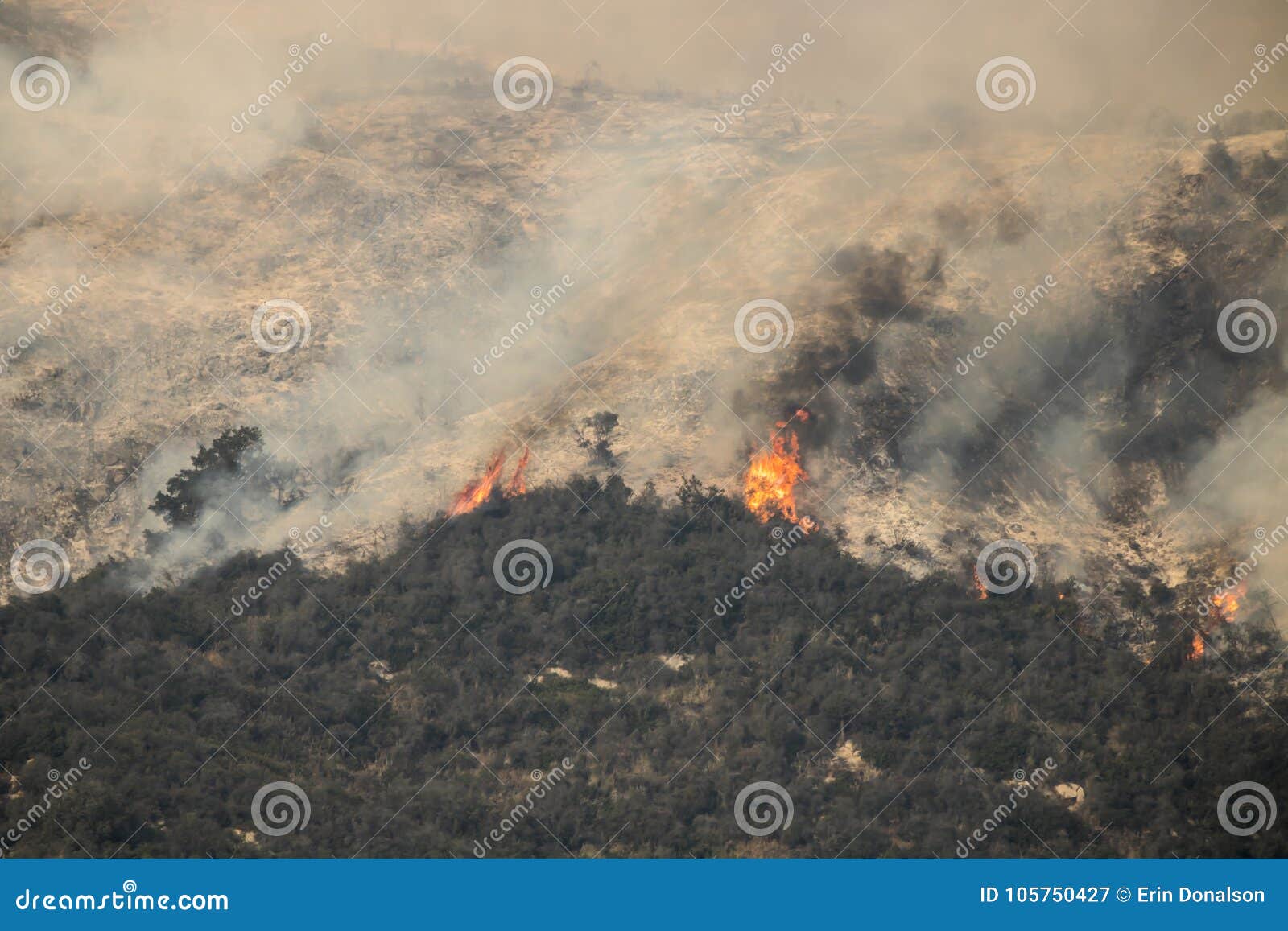 Flames Towering on Hillside in California Wildfire Stock Image - Image ...