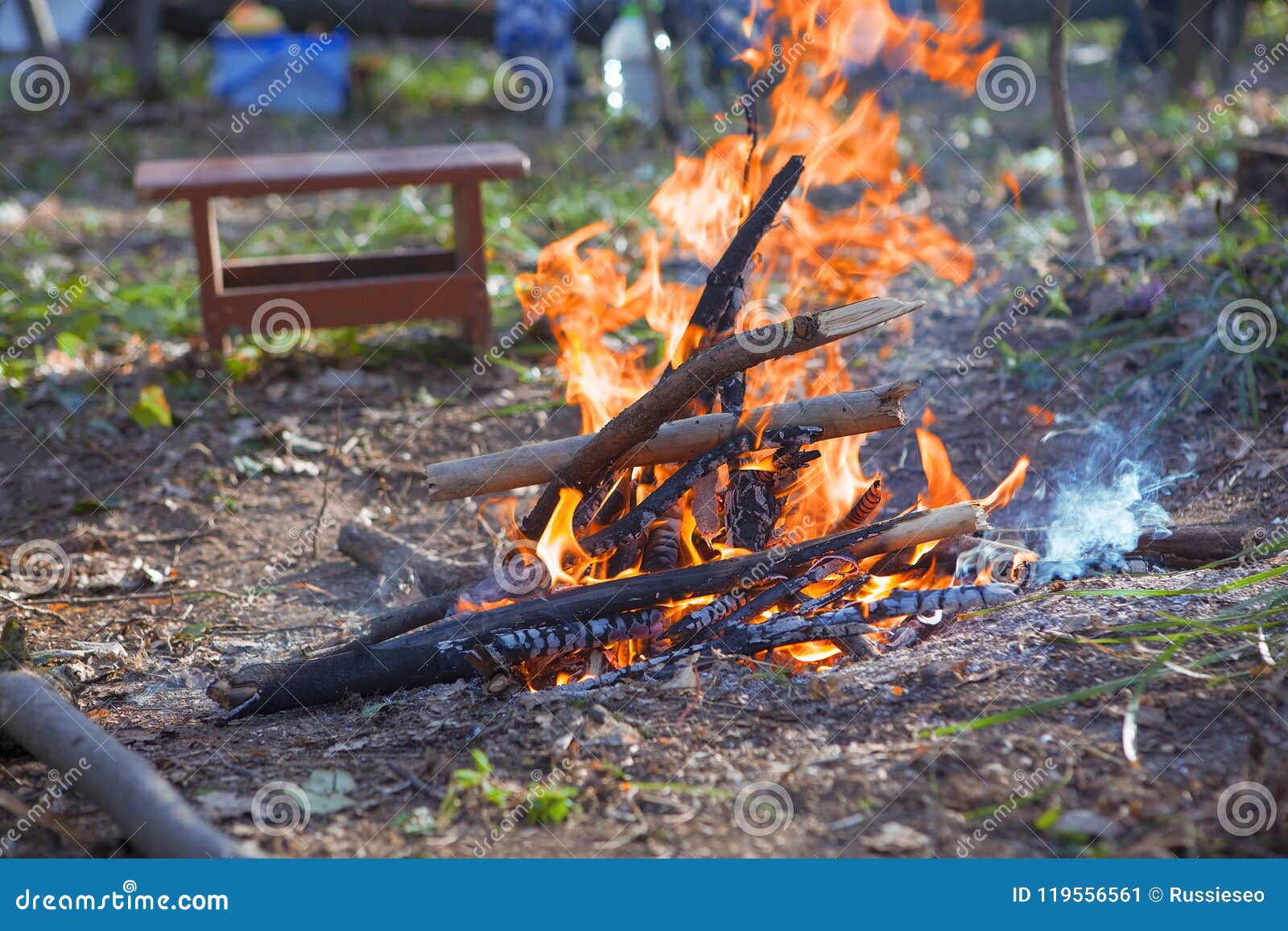 Picnic fire stock image. Image of temperature, smoke - 119556561