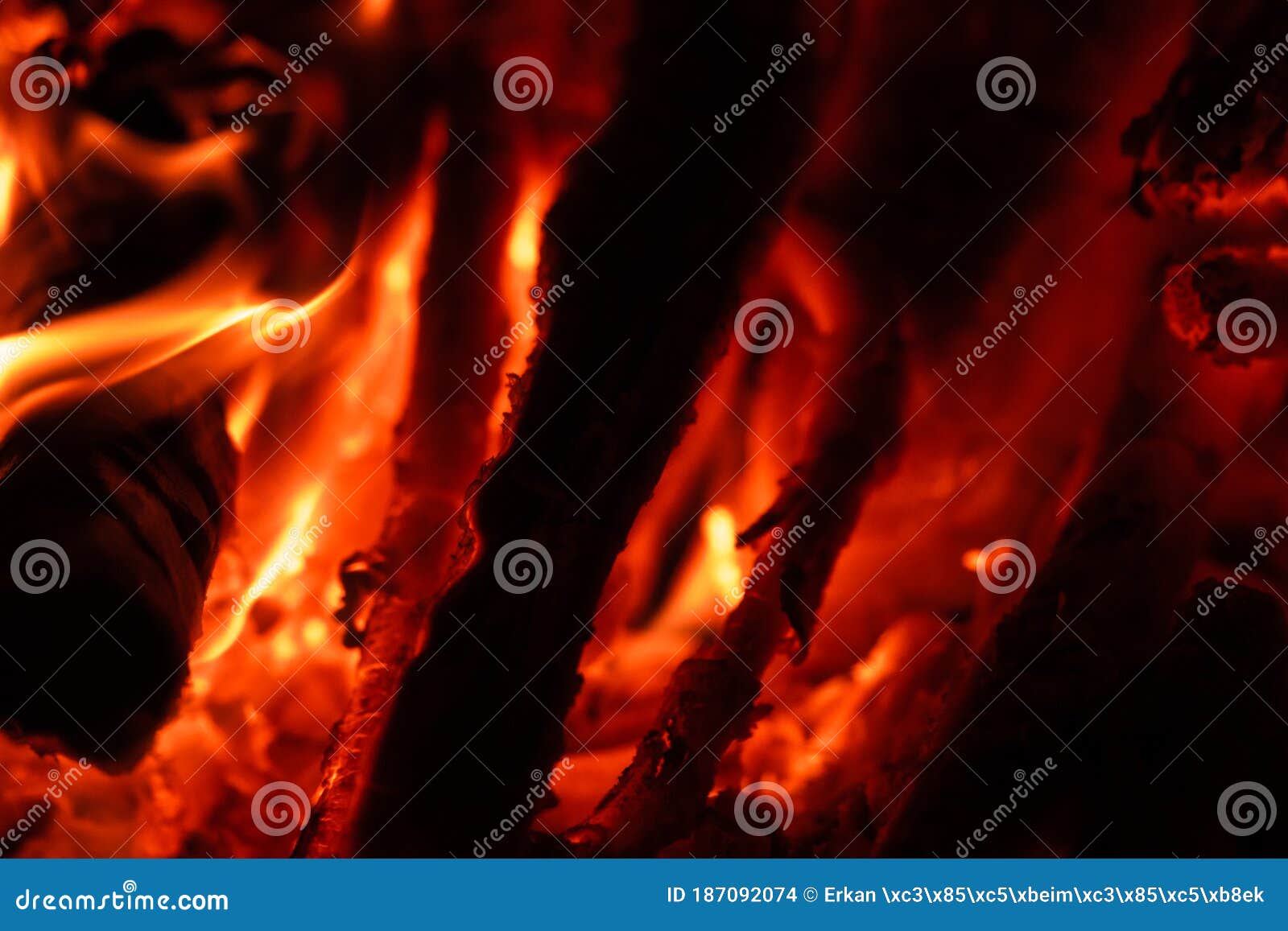 Flaming Charcoal Burning in the Camp Fire Stock Photo - Image of oven ...