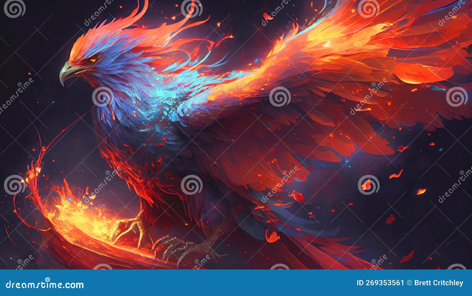 Flaming fiery Phoenix bird stock image. Image of portrait - 269353561