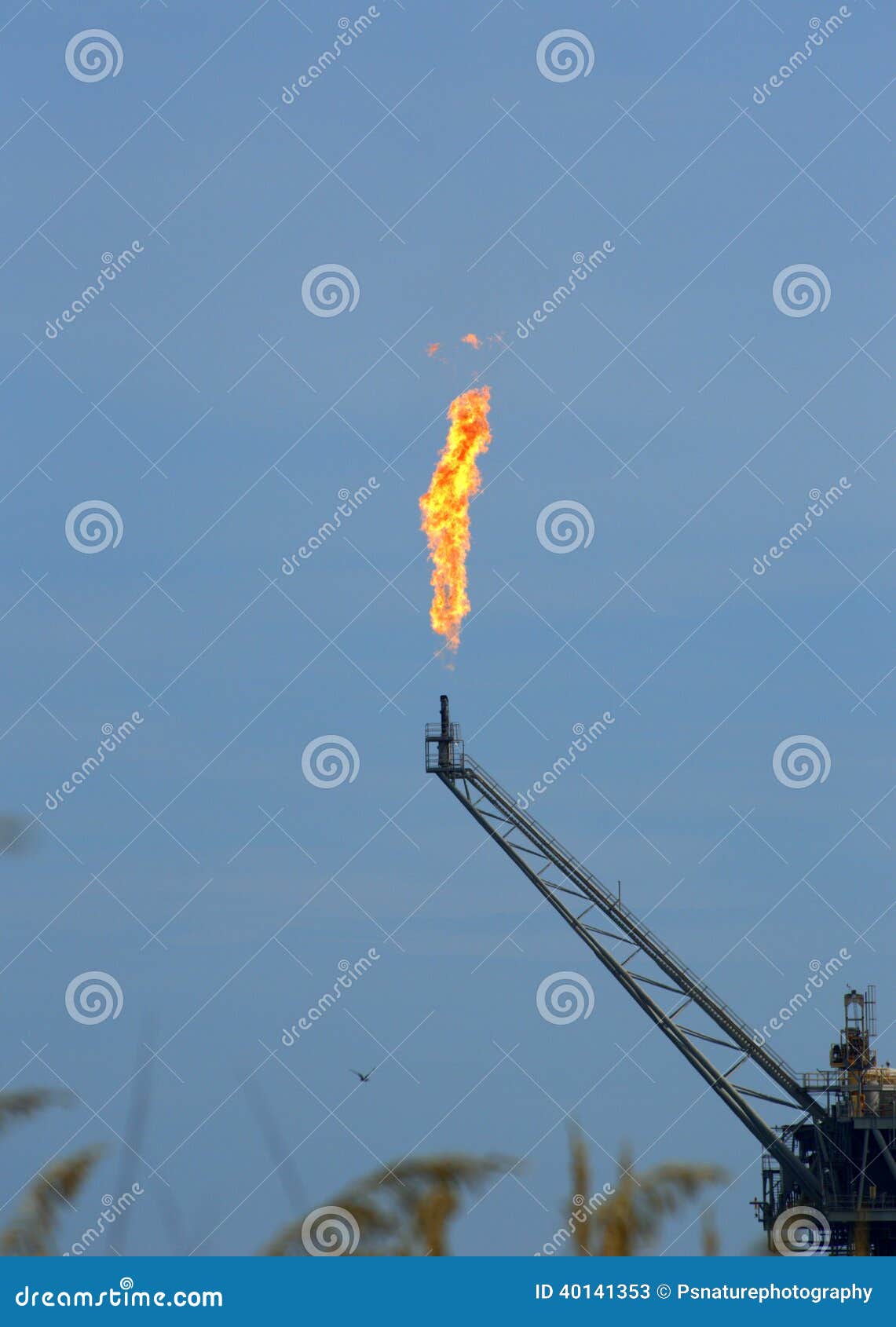 Flaming gas rig stock image. Image of fire, flame, burning - 40141353