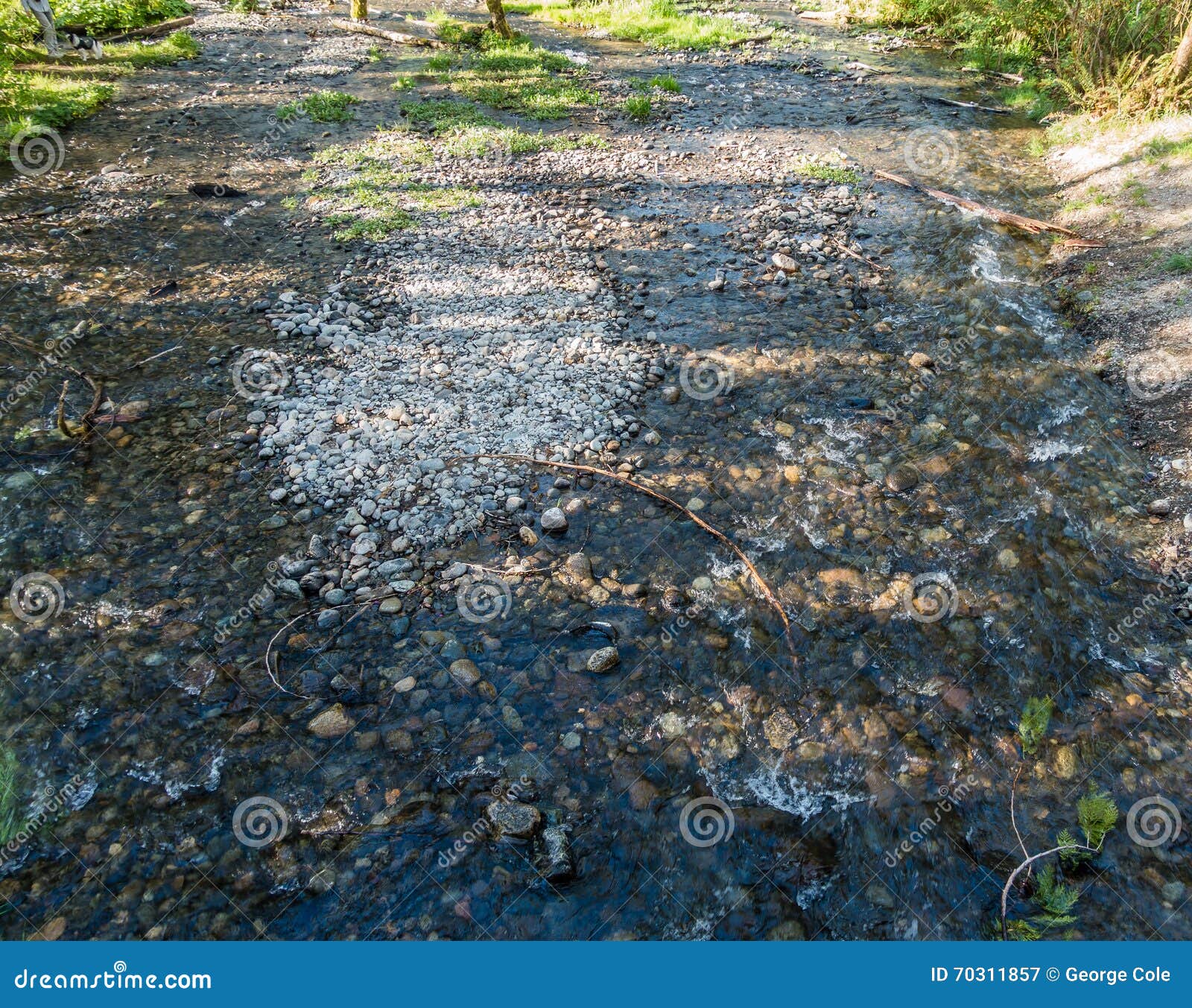 Flaming Geyser - Stream 2 stock image. Image of washington - 70311857