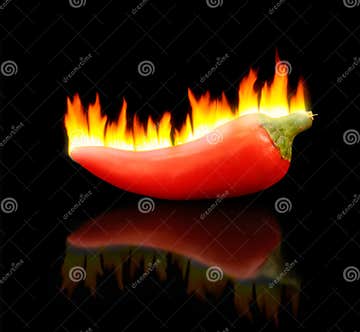 Flaming Hot Pepper stock photo. Image of pepper, food - 2061638