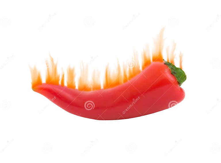 Flaming Hot Pepper, Isolated Stock Photo - Image of chili, flaming: 2089924