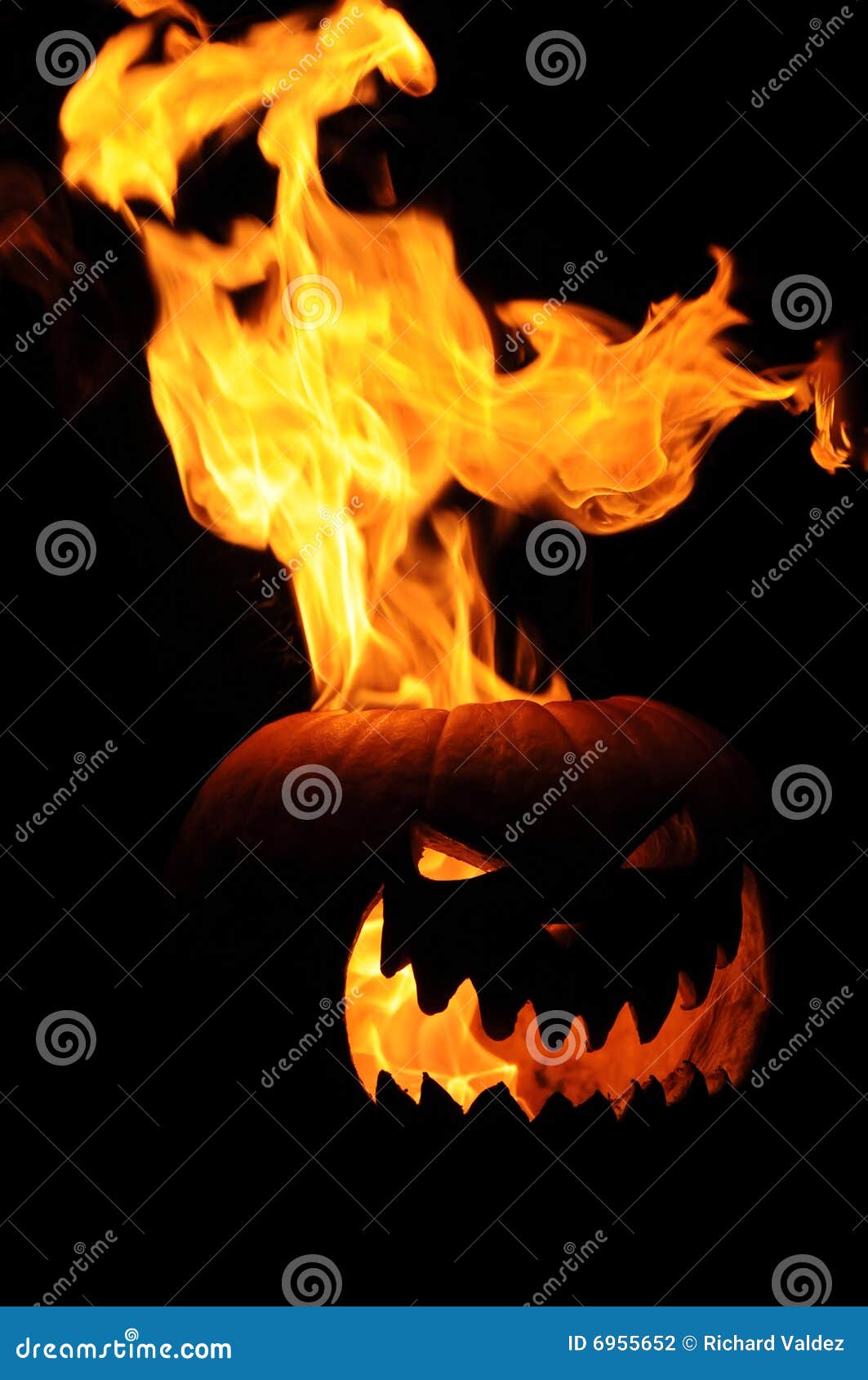 Flaming Jack O Lantern stock photo. Image of lantern, pumpkin - 6955652