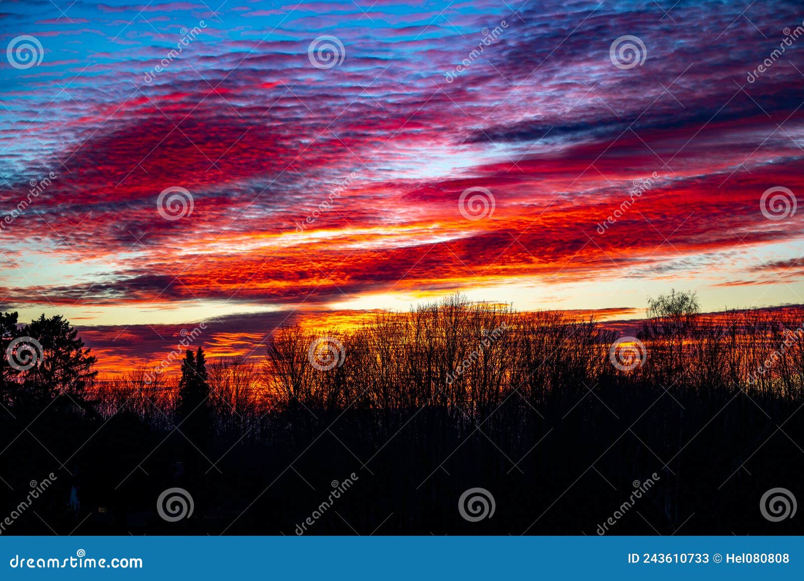 Flaming Red Clouds in the Blue Evening Sky after Sunset Above the ...