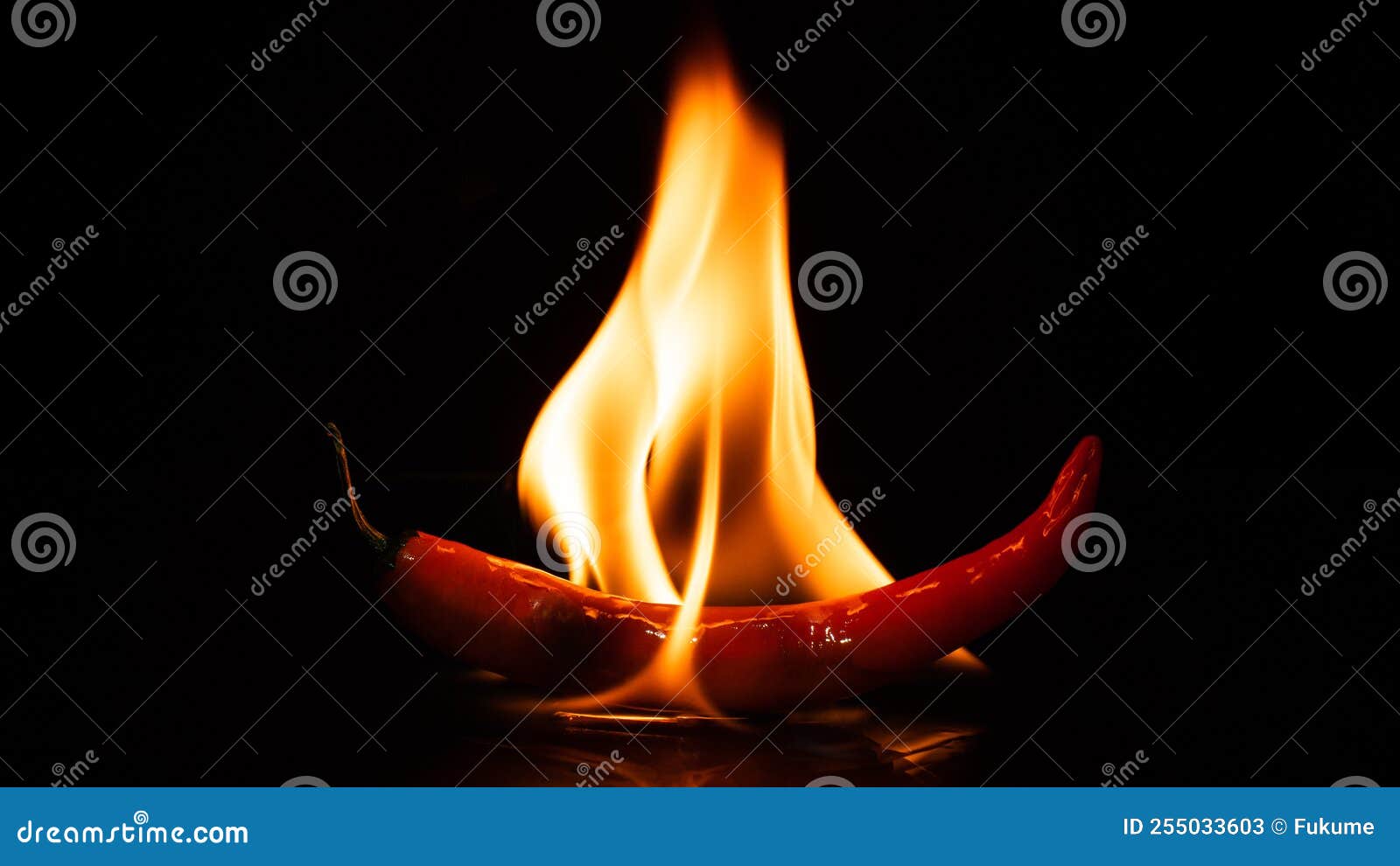 Flaming Red Hot Chili Pepper in Dark Stock Image - Image of cooking ...