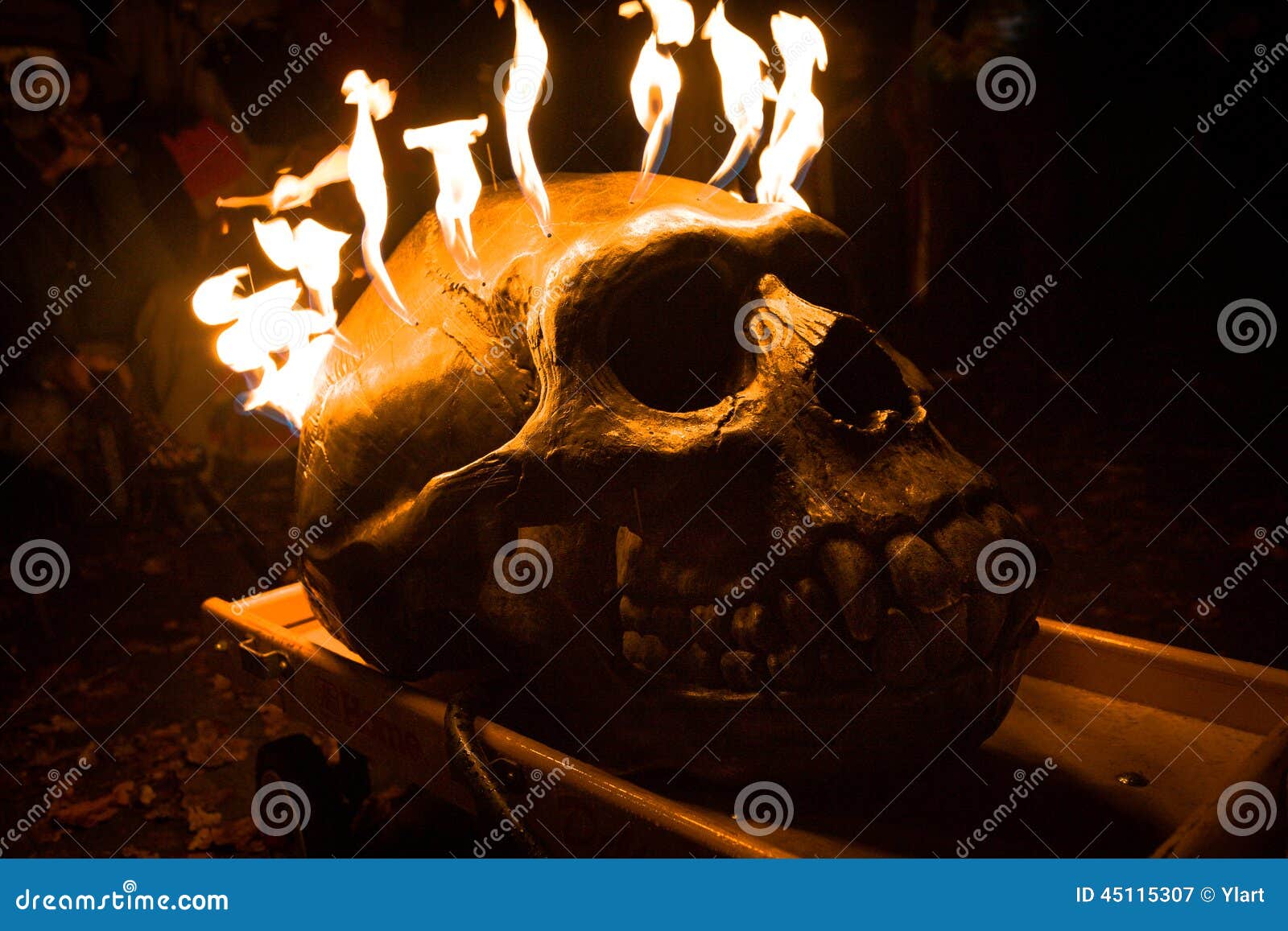 Flaming Skull stock image. Image of halloween, bones - 45115307