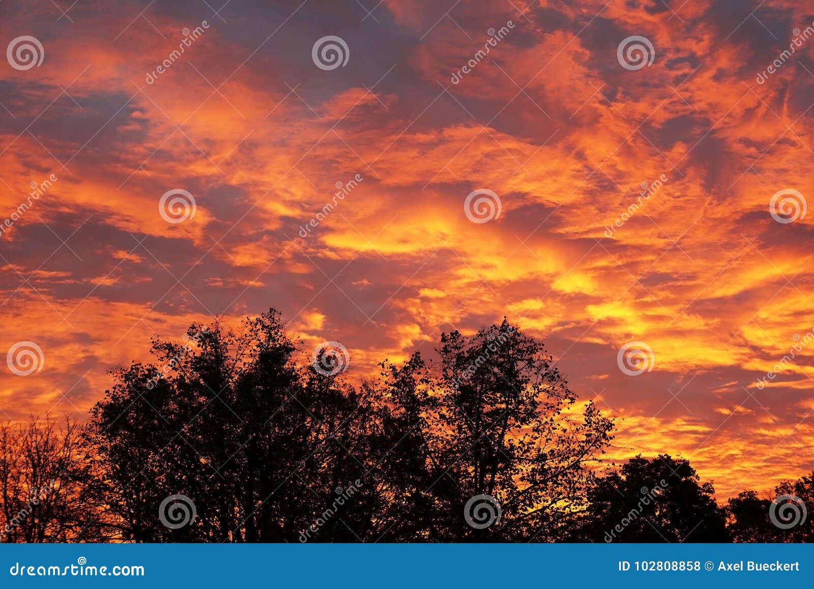 Flaming Sky with Orange Clouds Stock Photo - Image of dramatic, glow ...