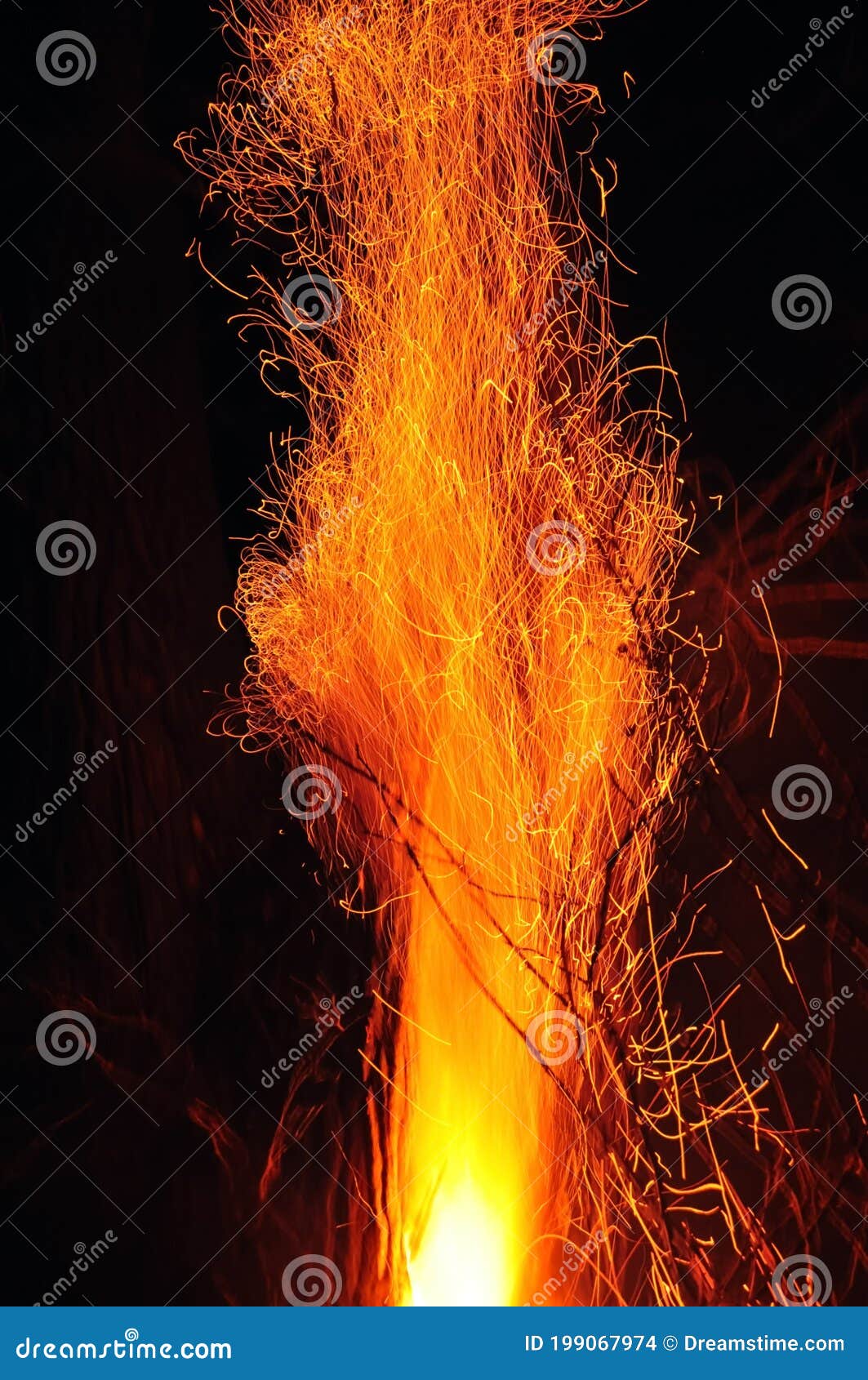 Flaming tree in the dark stock photo. Image of danger - 199067974