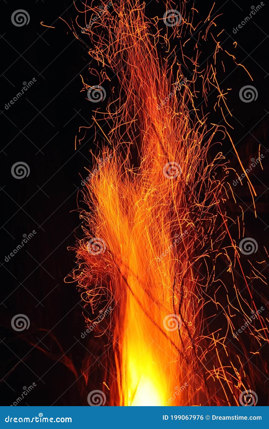 Flaming tree in the dark stock photo. Image of beautiful - 199067976