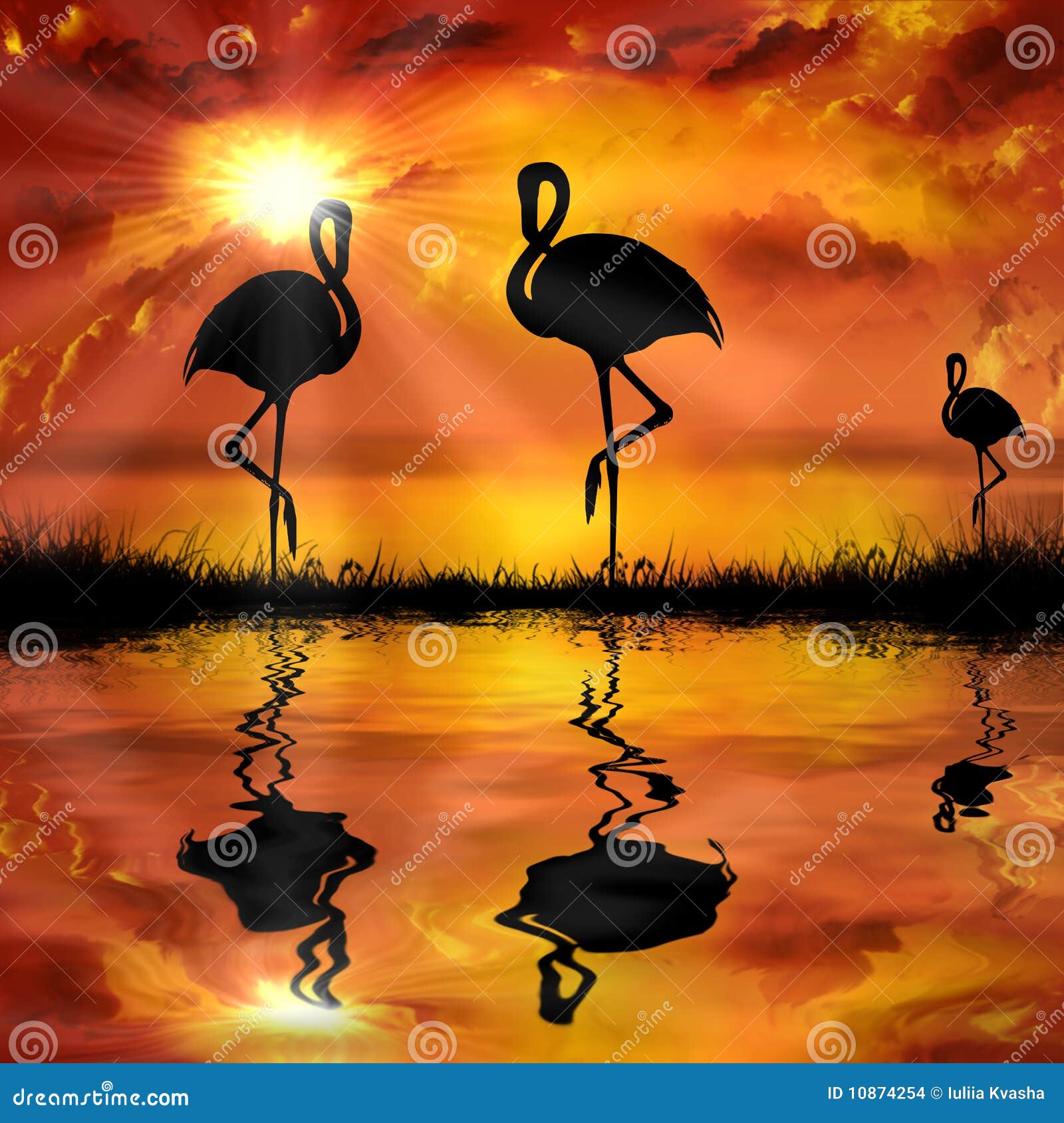 Flamingo on a Beautiful Sunset Background Stock Illustration ...