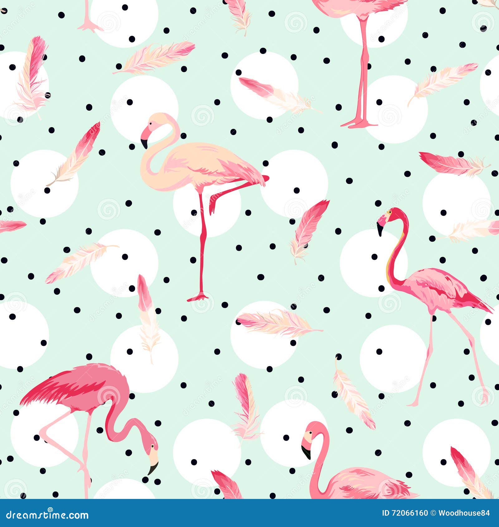 Flamingo Bird Background. Flamingo Feather Background Stock Vector ...