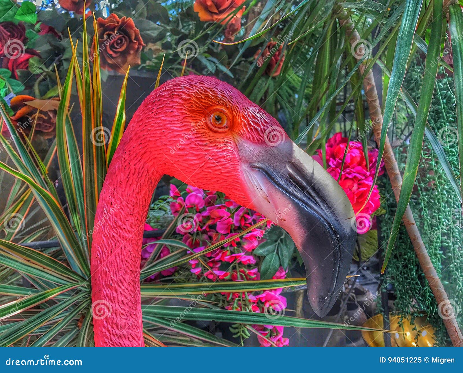 Flamingo stock image. Image of flamingo, beautiful, colors - 94051225