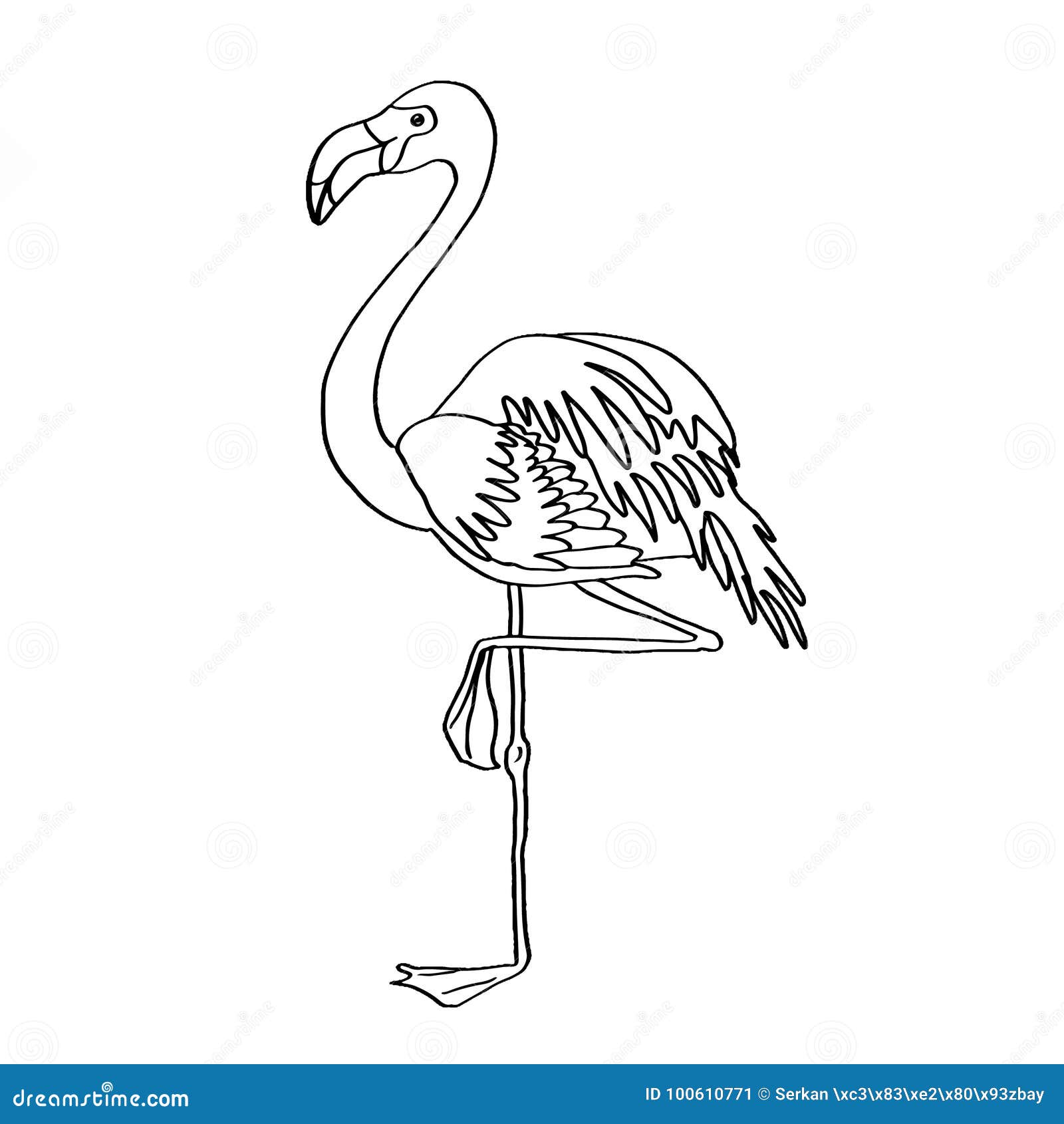 Flamingo drawing stock vector. Illustration of breathing - 100610771