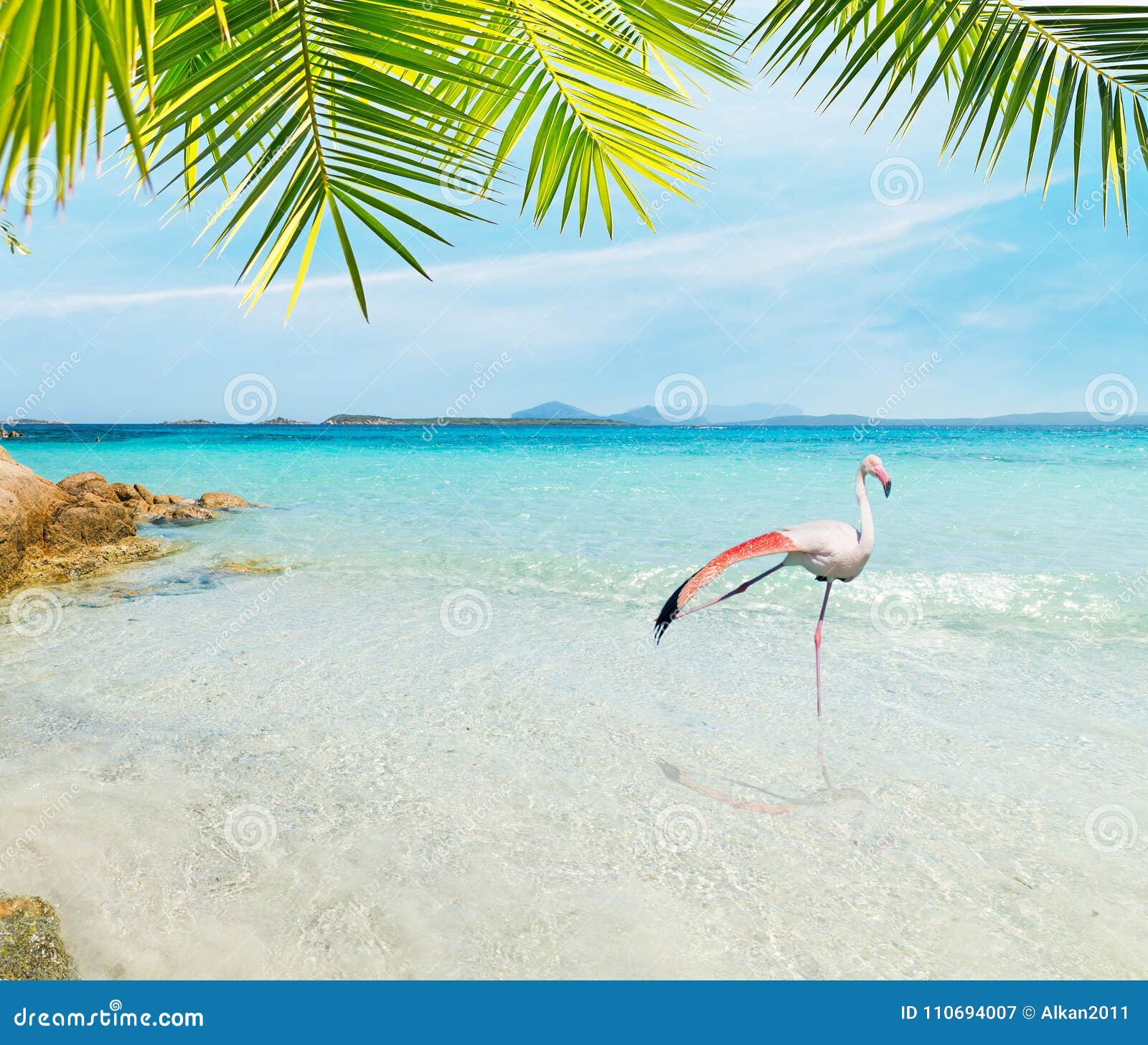 Flamingo in Einem Tropischen Strand Stockbild - Bild von strand, ozean ...
