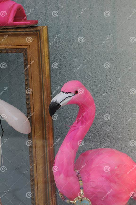 Flamingo in Front of Art Deco Background Stock Image - Image of elegant ...