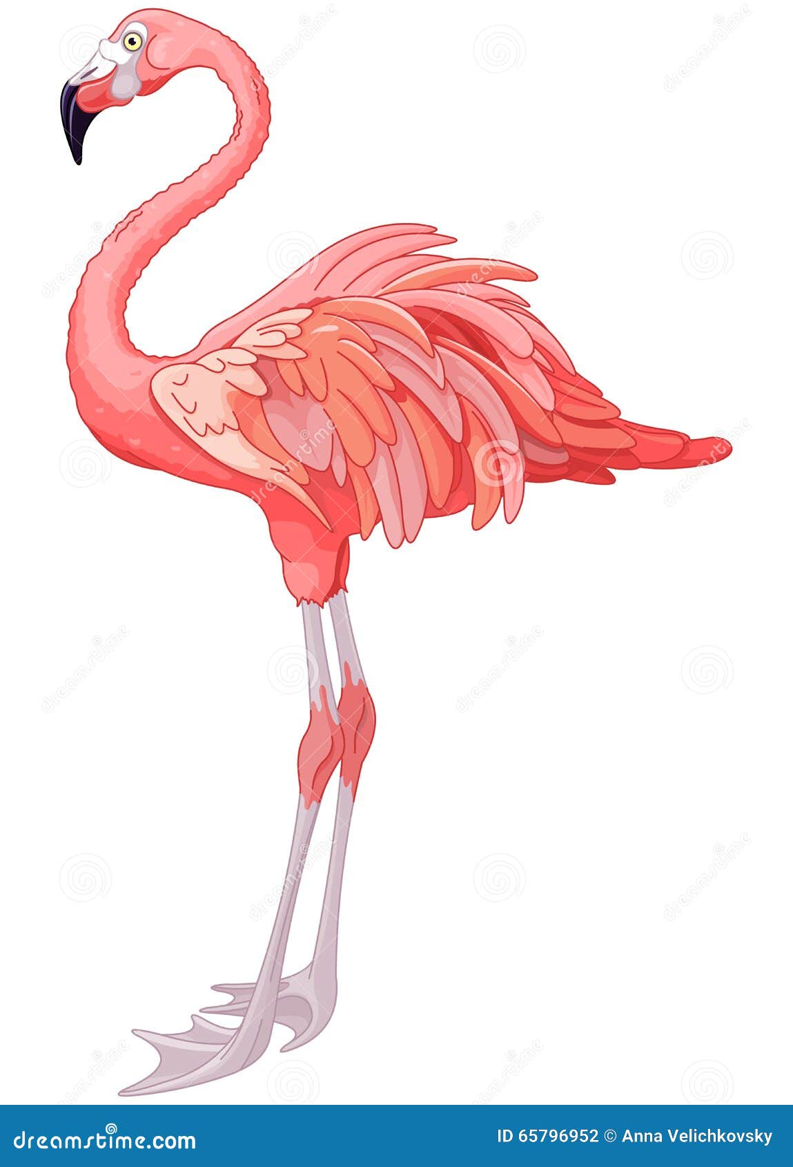 Flamingo stock vector. Illustration of pink, vector, foot - 65796952