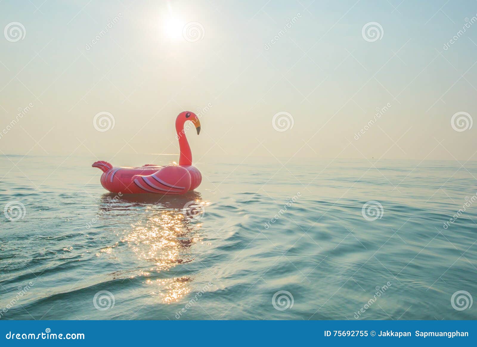 Flamingo in the sea stock image. Image of landscape, group - 75692755