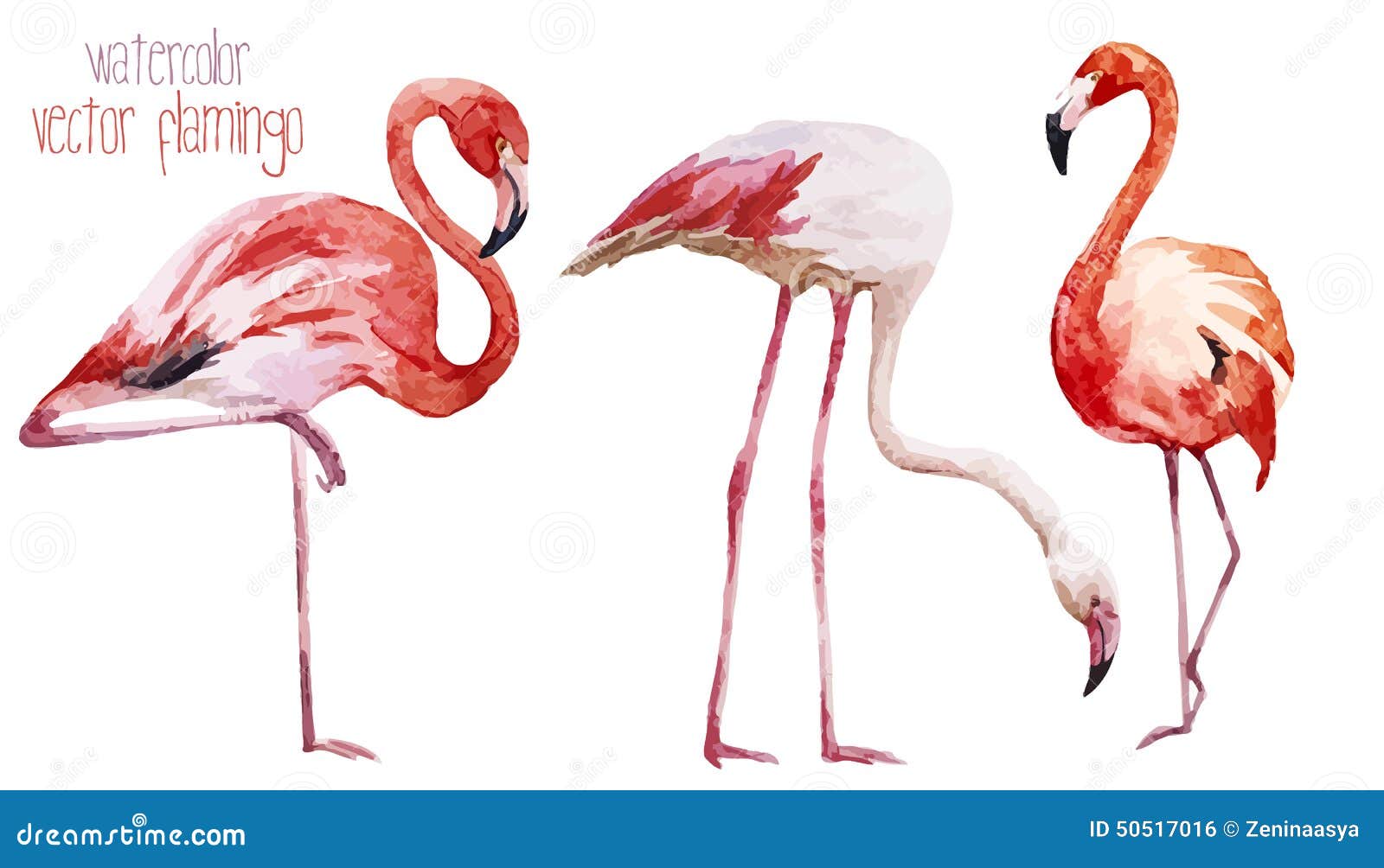 Flamingo set stock vector. Illustration of pink, floral - 50517016