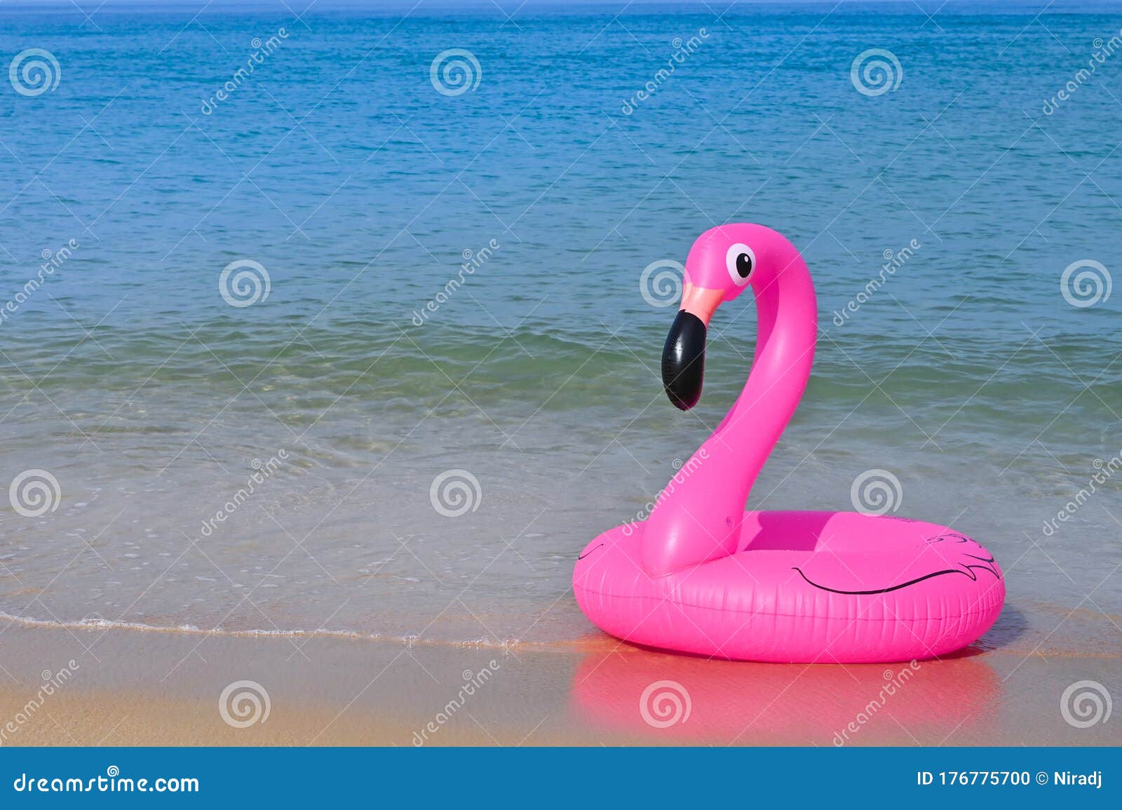 Flamingo Shape, Floating Rubber Ring by the Beach Stock Photo - Image ...