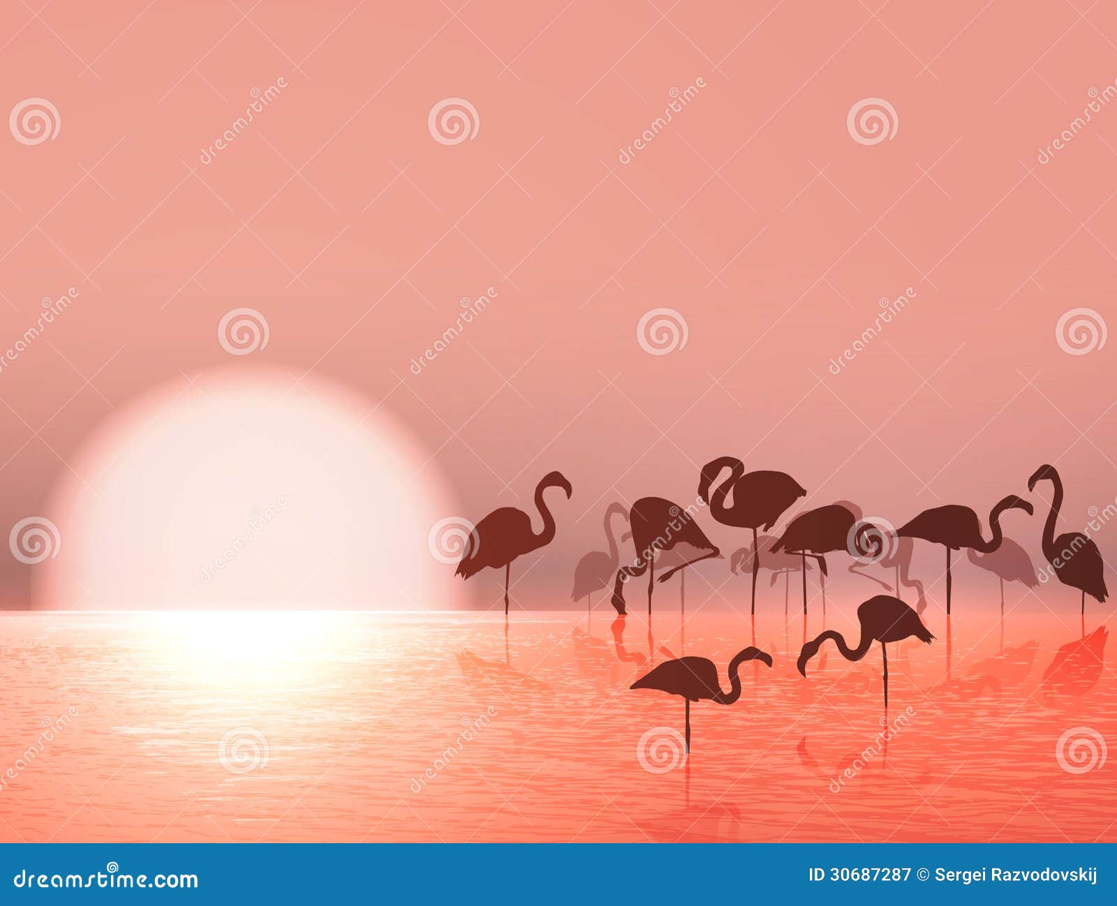Flamingo Silhouette On Sunset, Vector. Scandinavian Minimalist Art ...
