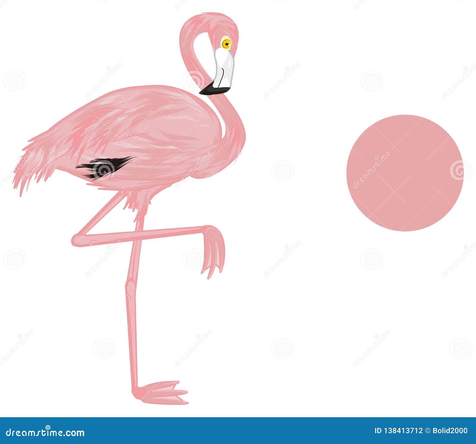 Flamingo und Zeichen stock abbildung. Illustration von flamingo - 138413712