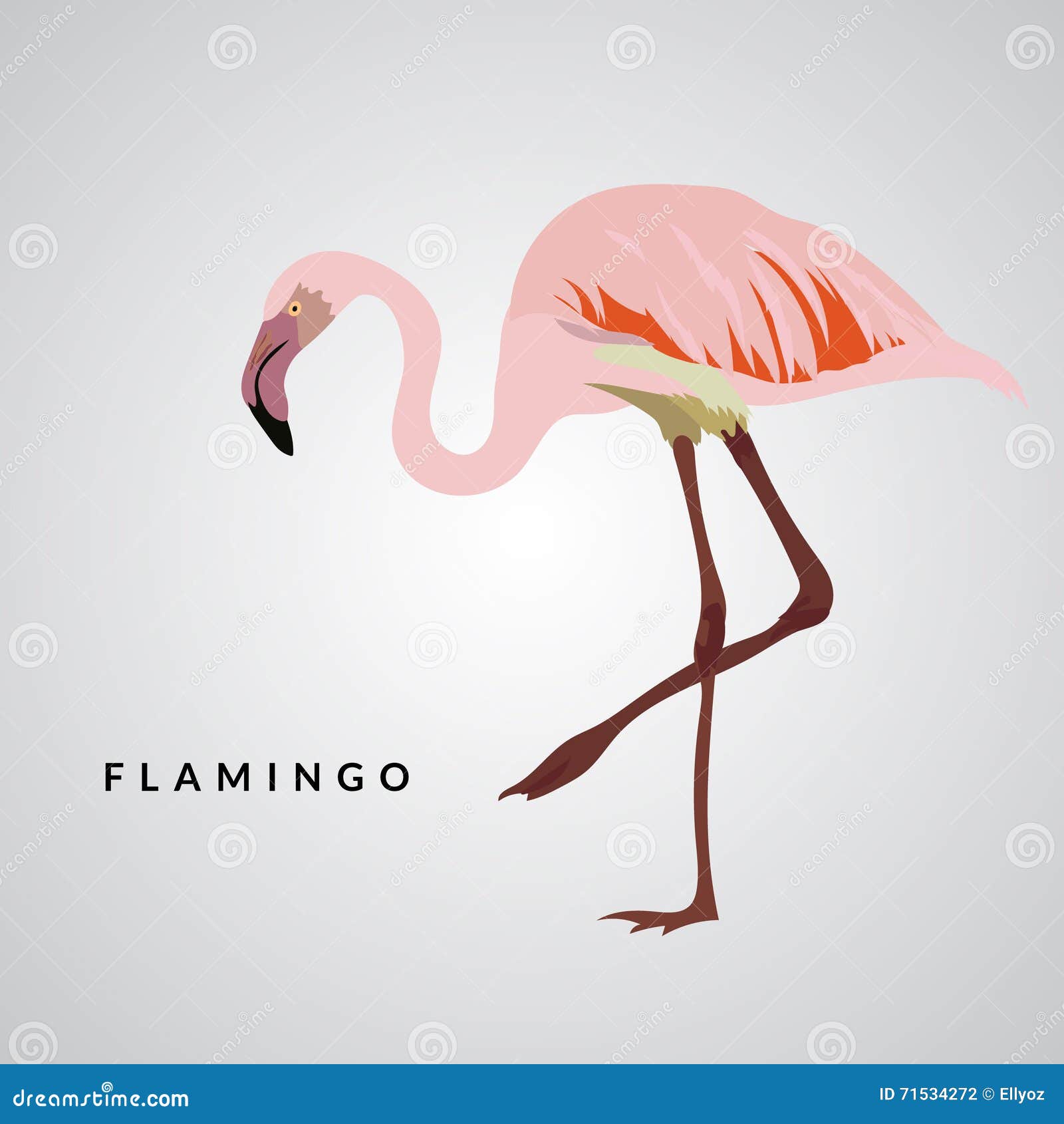 Flamingo Vector Illustration Stock Vector - Illustration of fauna ...