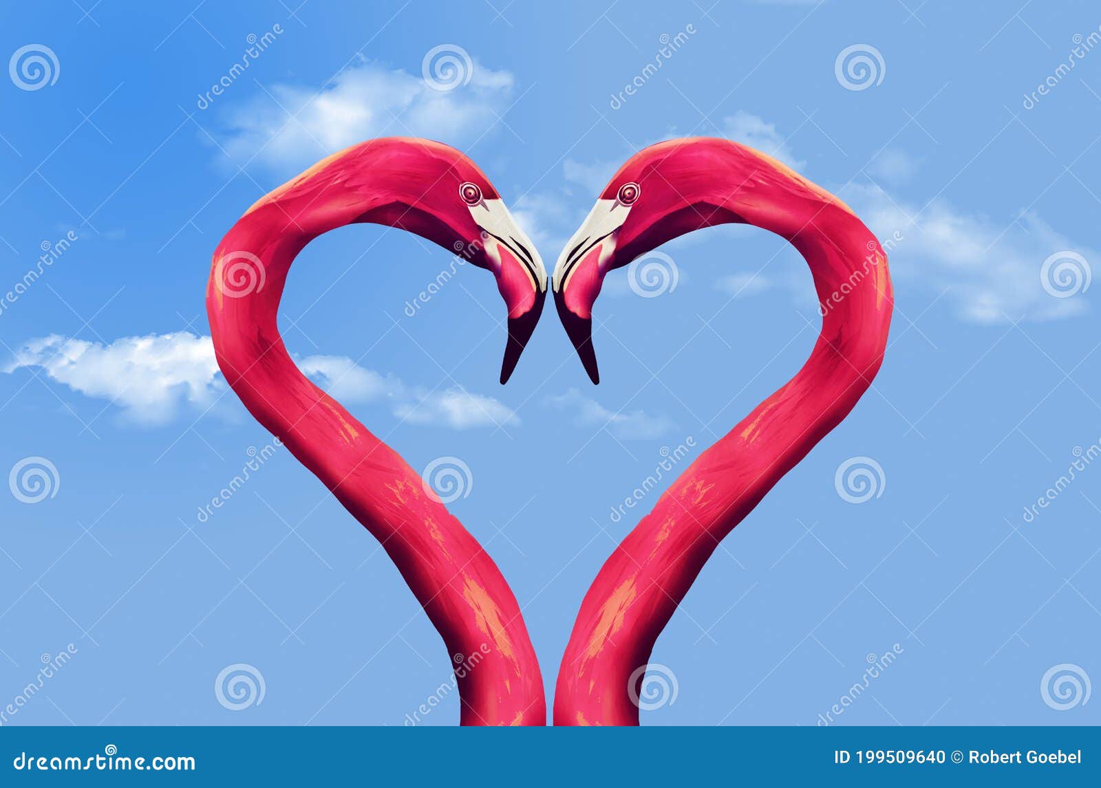 Flamingos` Curving Necks Form the Shape of a Heart As they Stand in ...