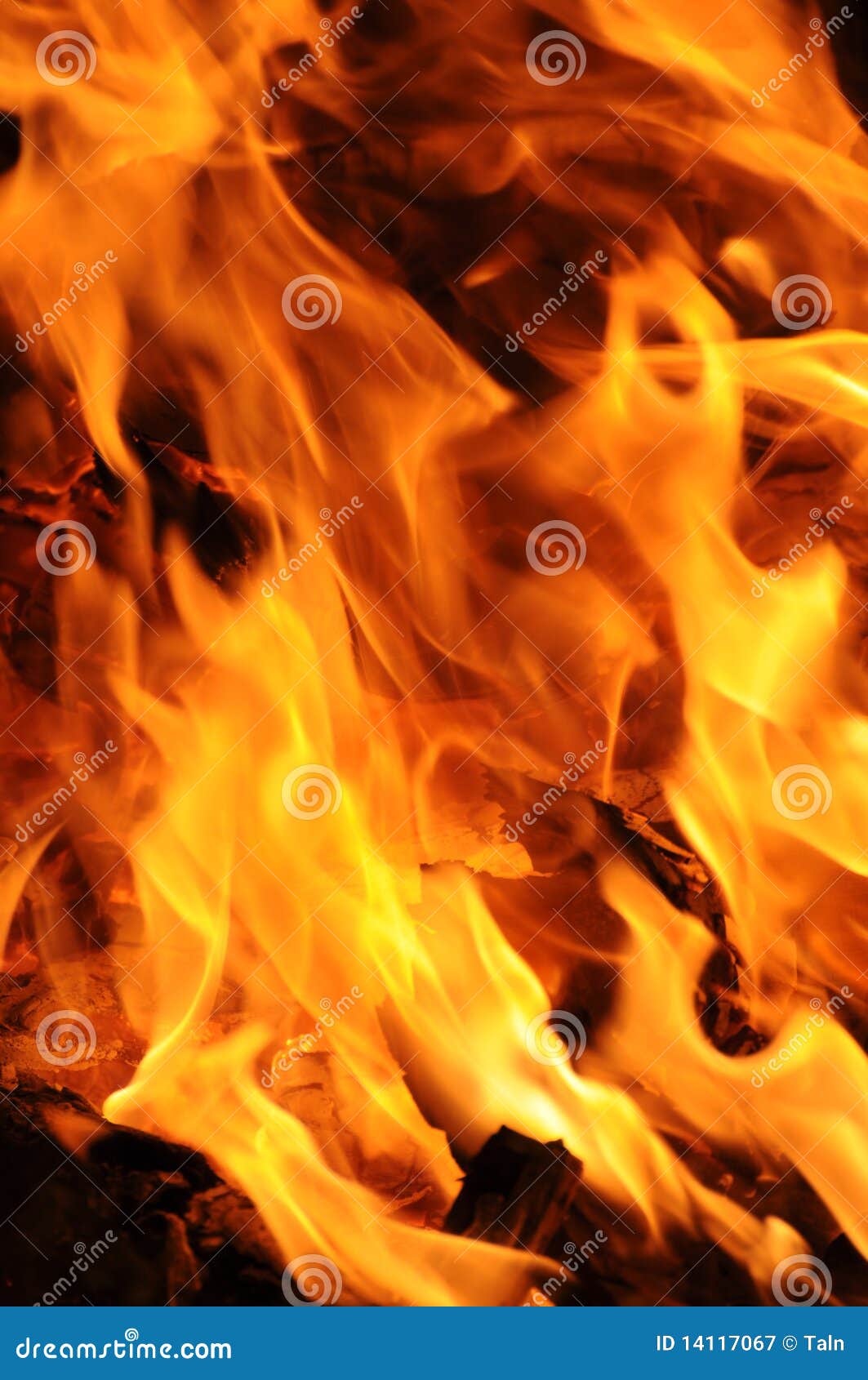 Flamm varmt fotografering för bildbyråer. Bild av gnistor - 14117067