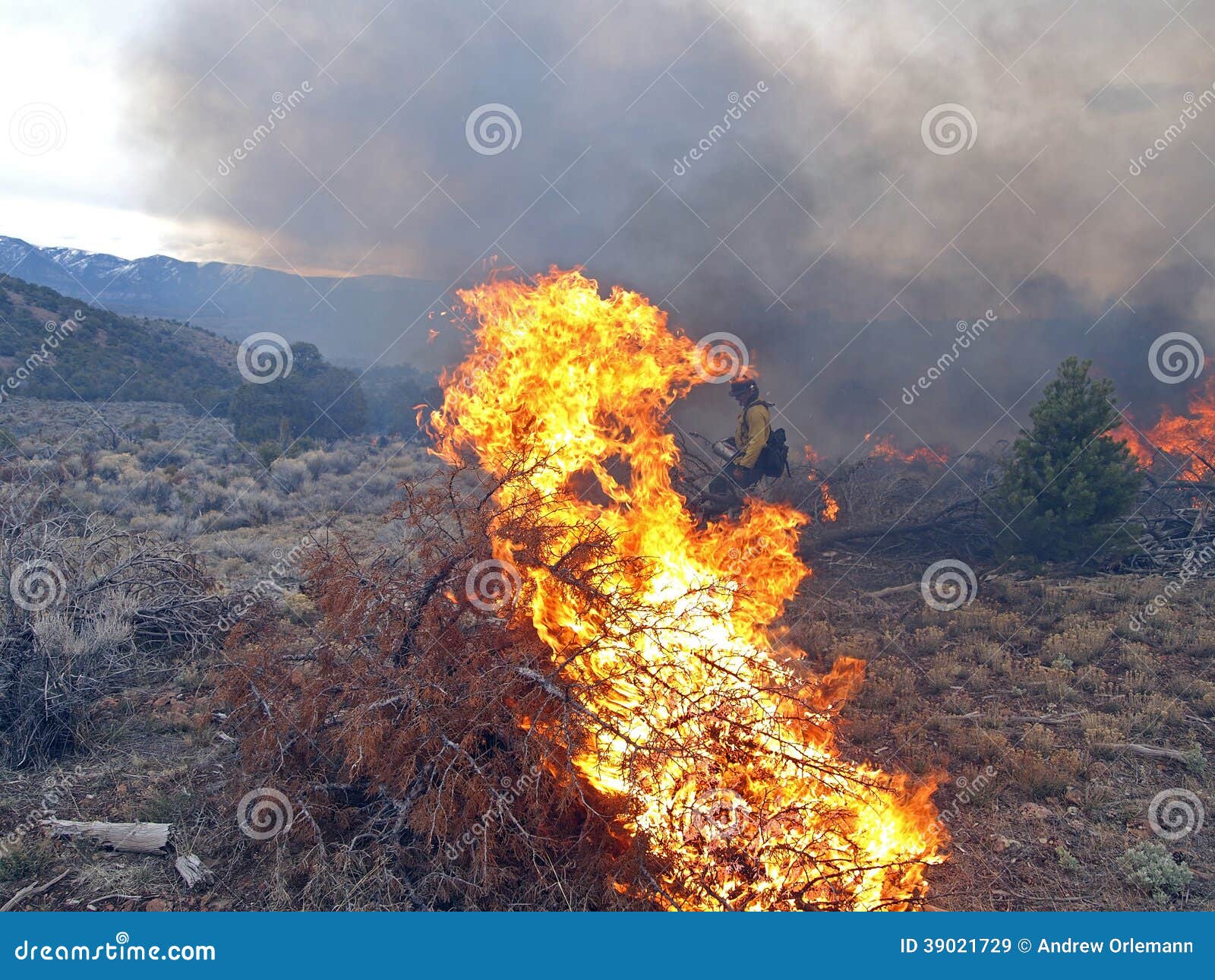 Flamma fotografering för bildbyråer. Bild av brännskada - 39021729