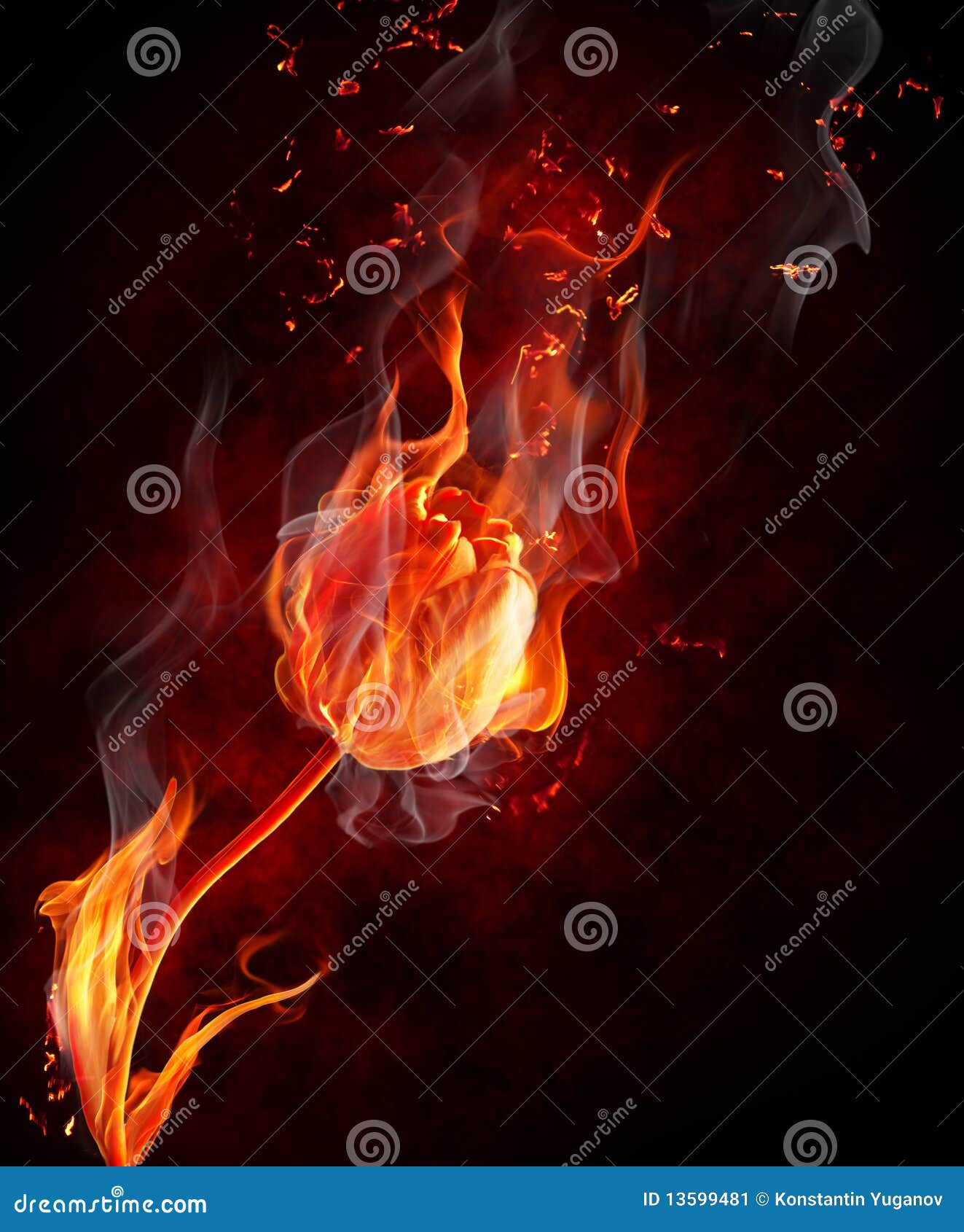 Flamy Symbol Royalty-Free Stock Image | CartoonDealer.com #7497304