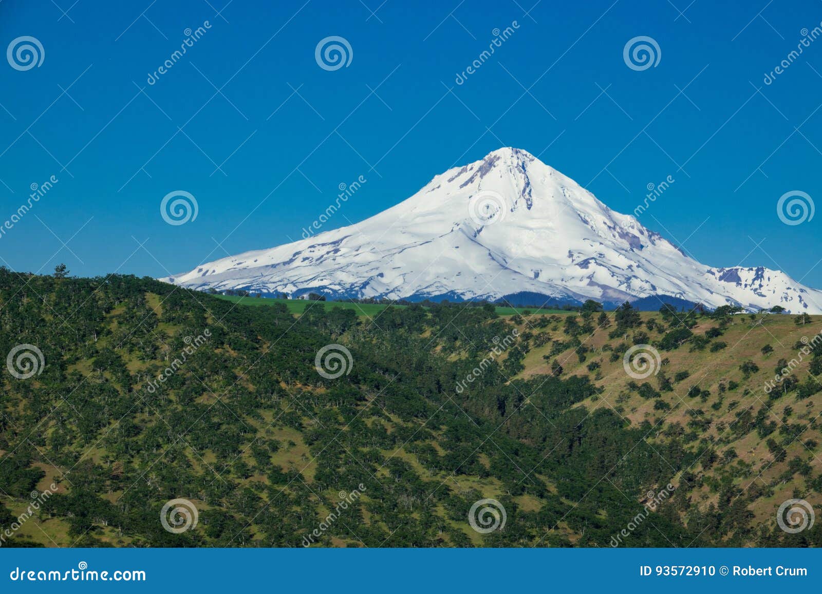 Flanco Oriental Da Capa Da Montagem Em Oregon Foto de Stock - Imagem de ...