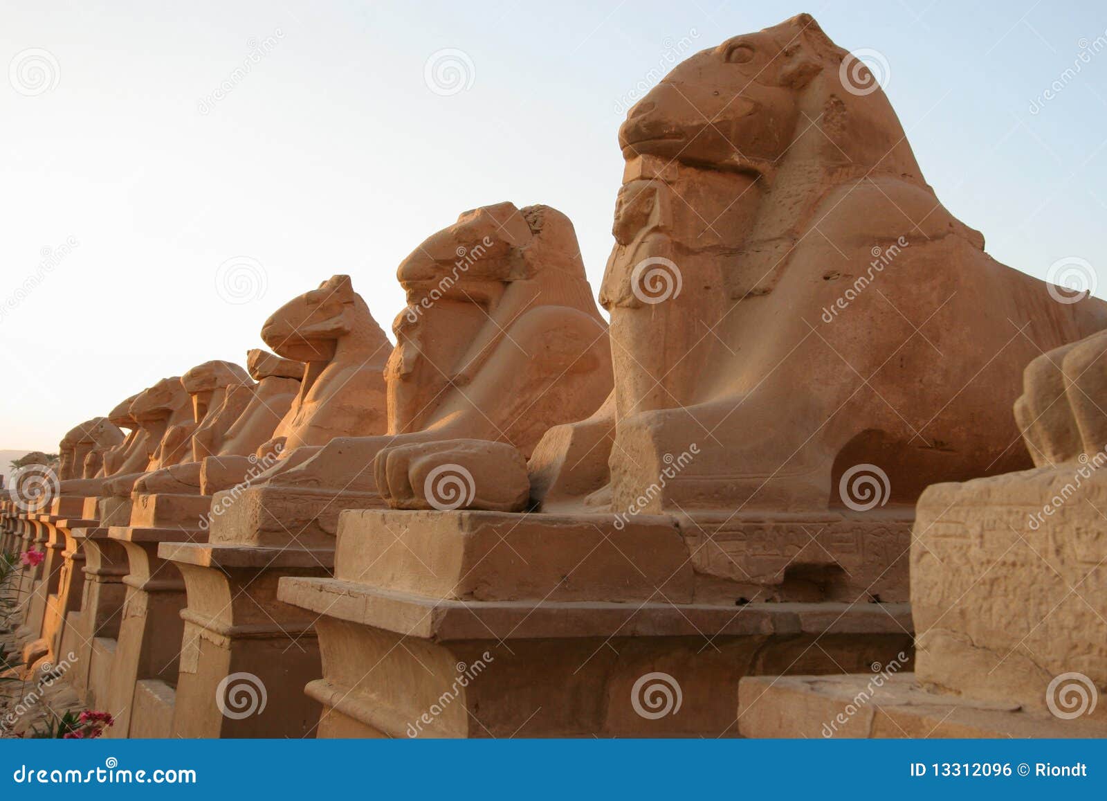Flank of Ram sphinx stock photo. Image of ruins, egypt - 13312096