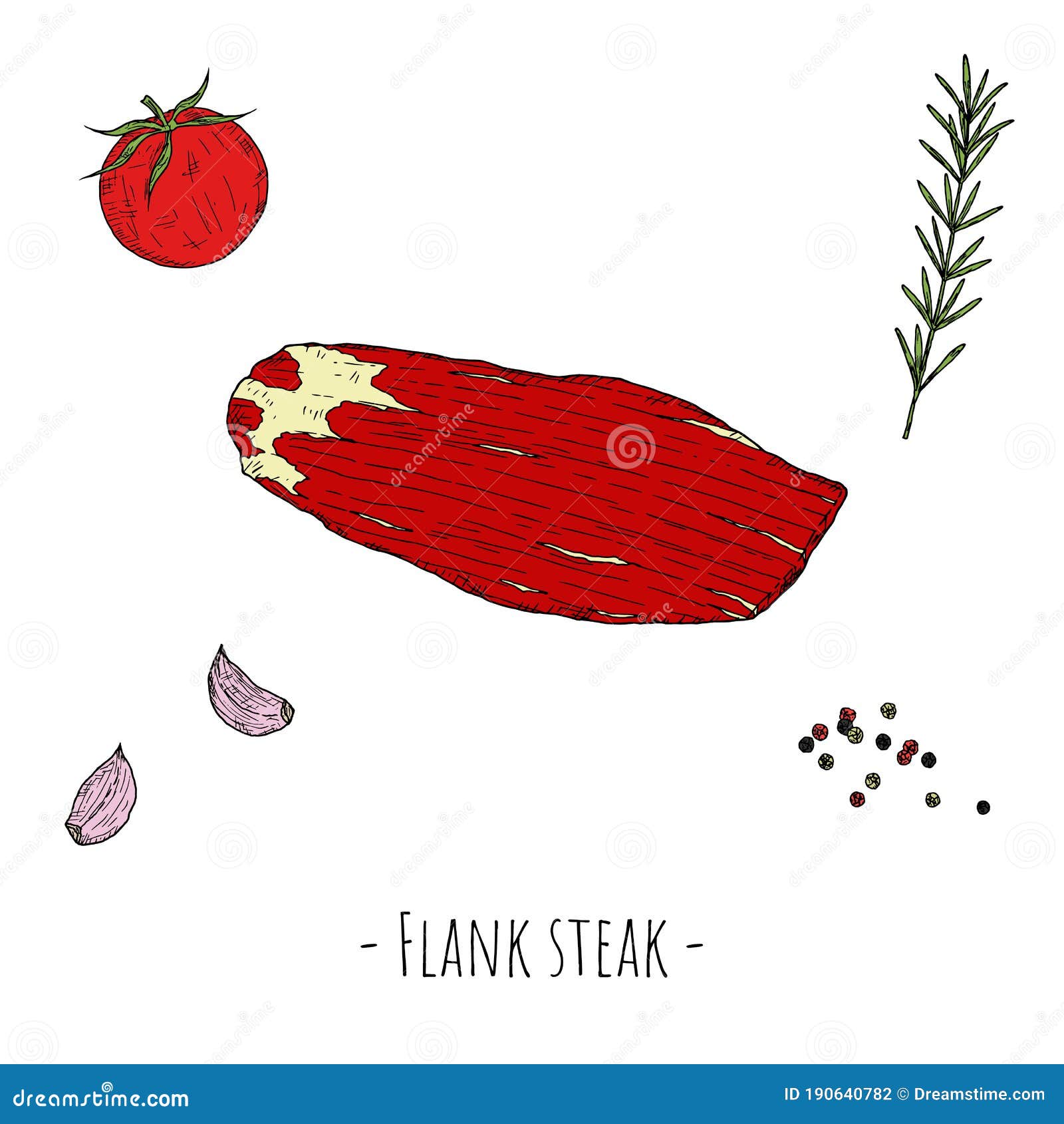 Flank Steak Vector Illustration. Raw Meat Top View Drawing. Hand Drawn ...
