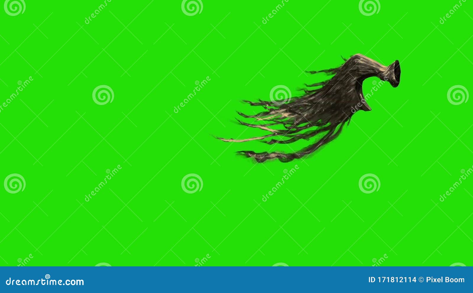 Flapping Brown Feathered Wings Side Green Screen 3D Rendering Animation ...