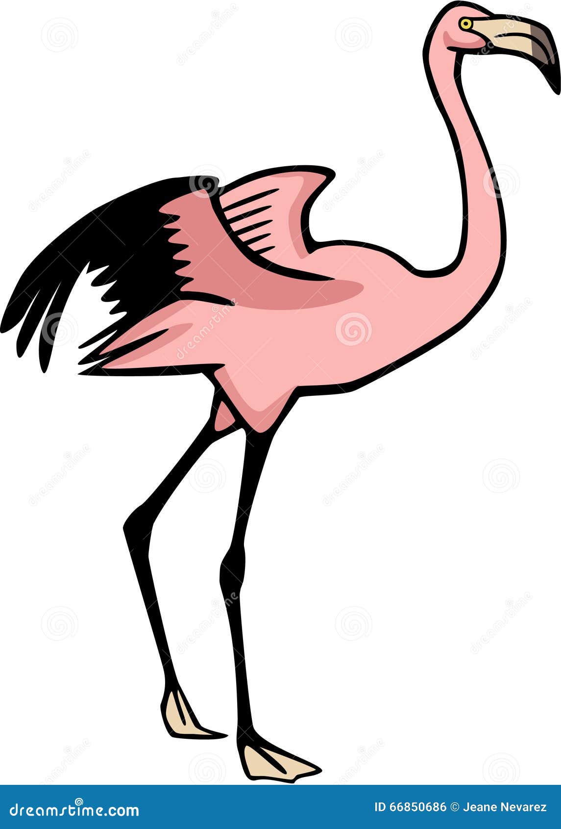 Flapping Flamingo stock vector. Illustration of wing - 66850686