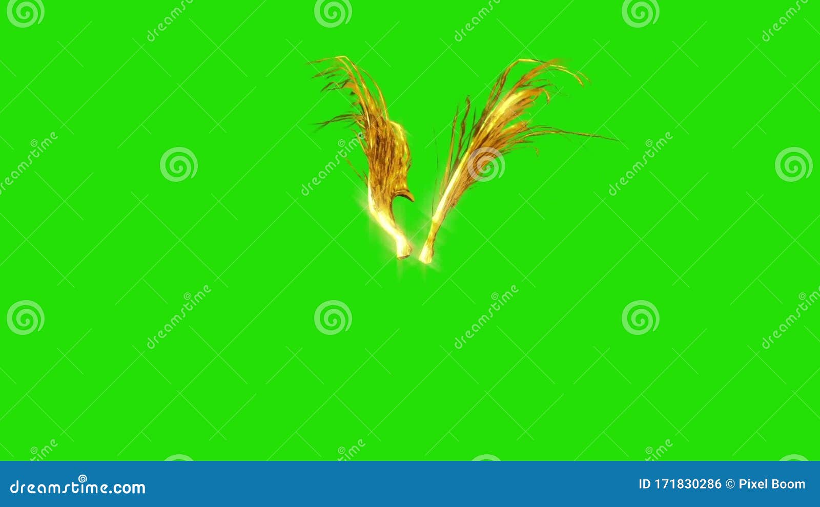 Flapping Gold Feathered Wings Green Screen 3D Rendering Animation Stock ...