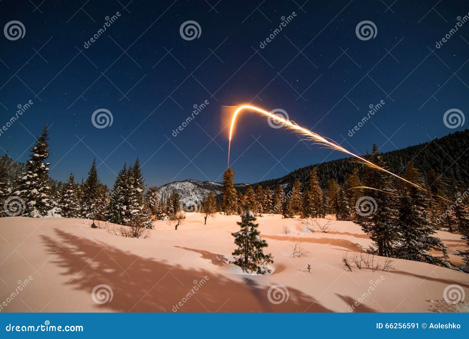 Flare at Night in the Forest Stock Image - Image of shadow, dark: 66256591